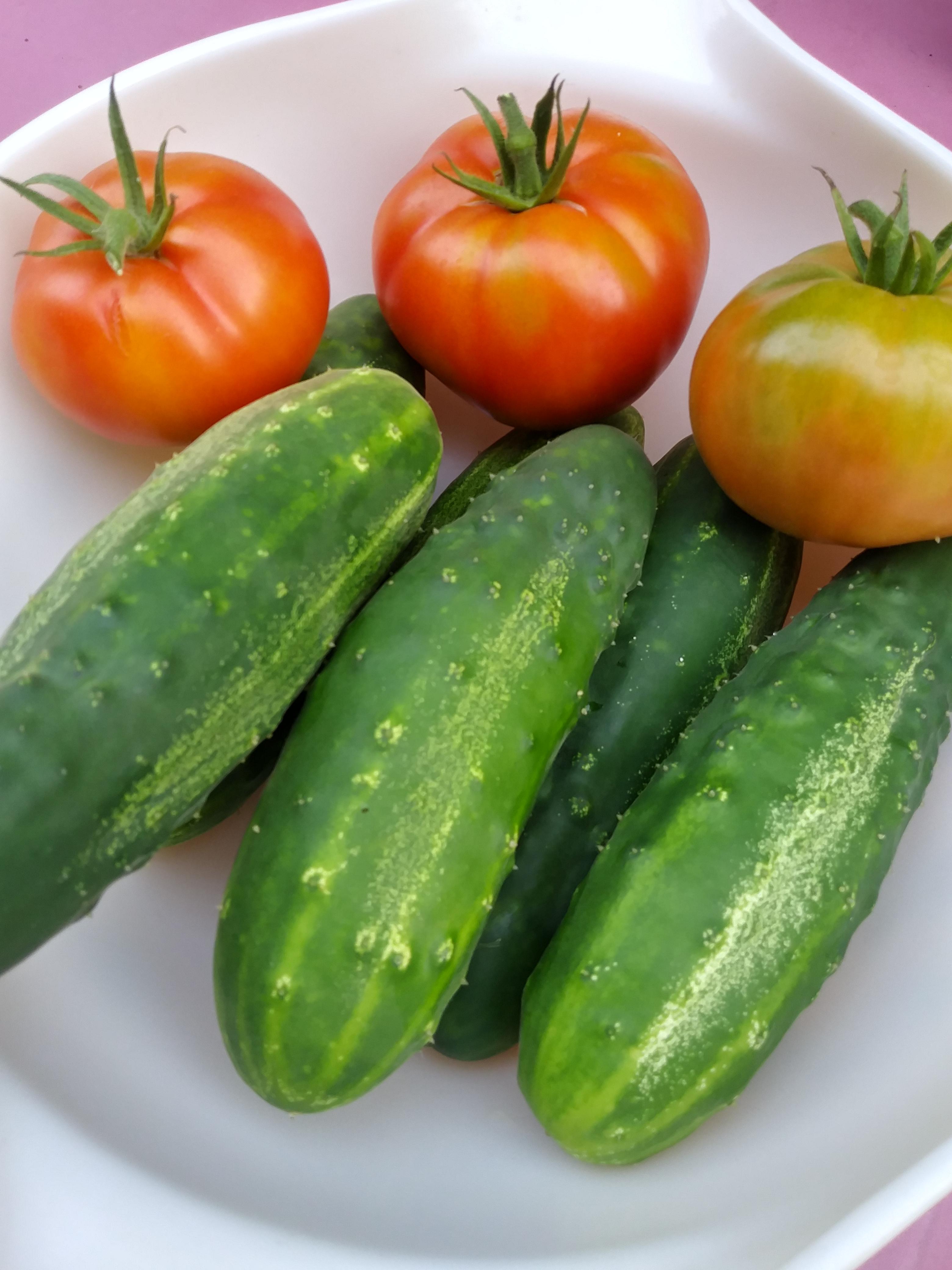 First little harvest of the year! Gonna be munching on some cucumber later! :) | Scrolller