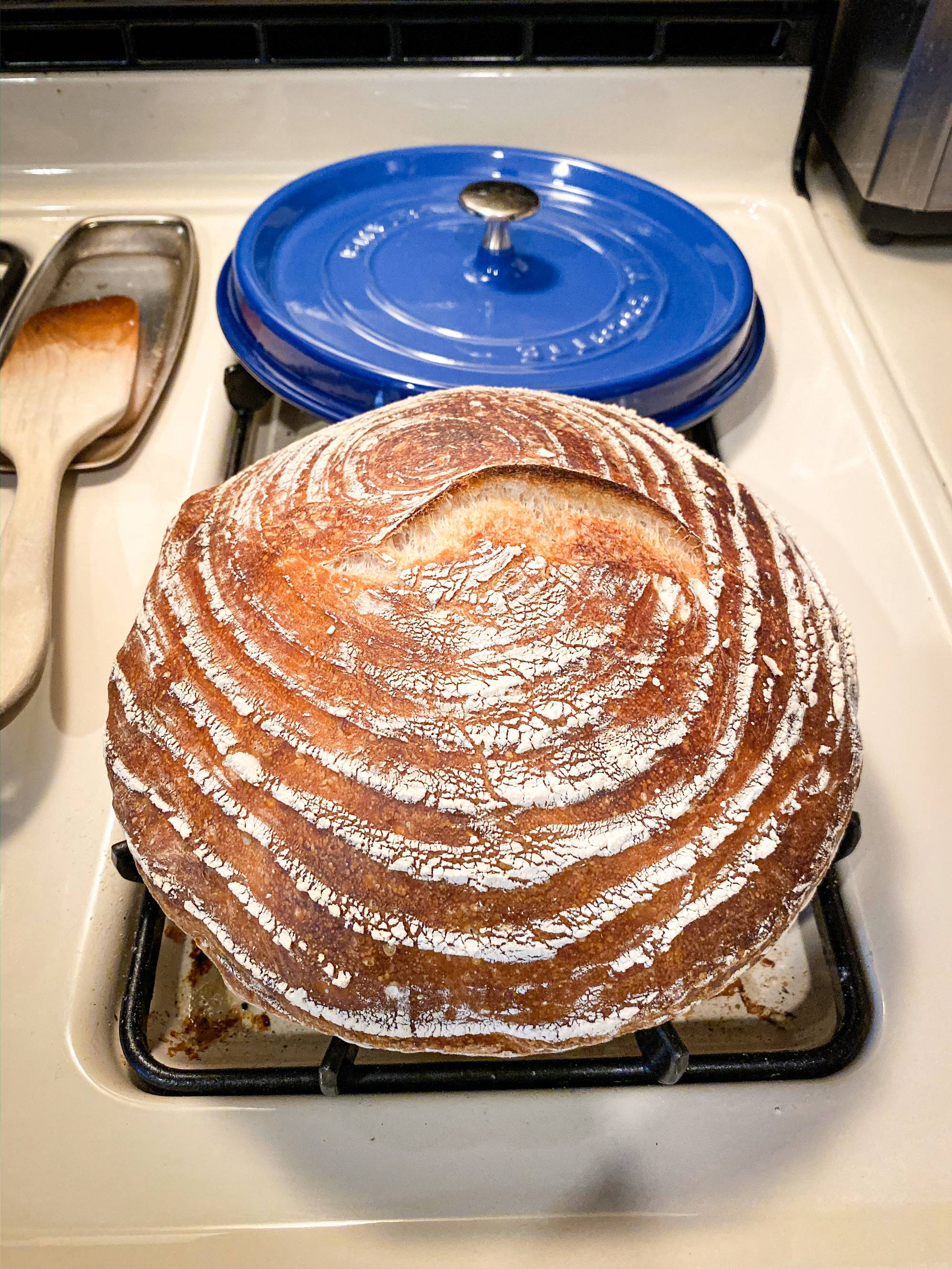 First loaf! I’ll take it! | Scrolller