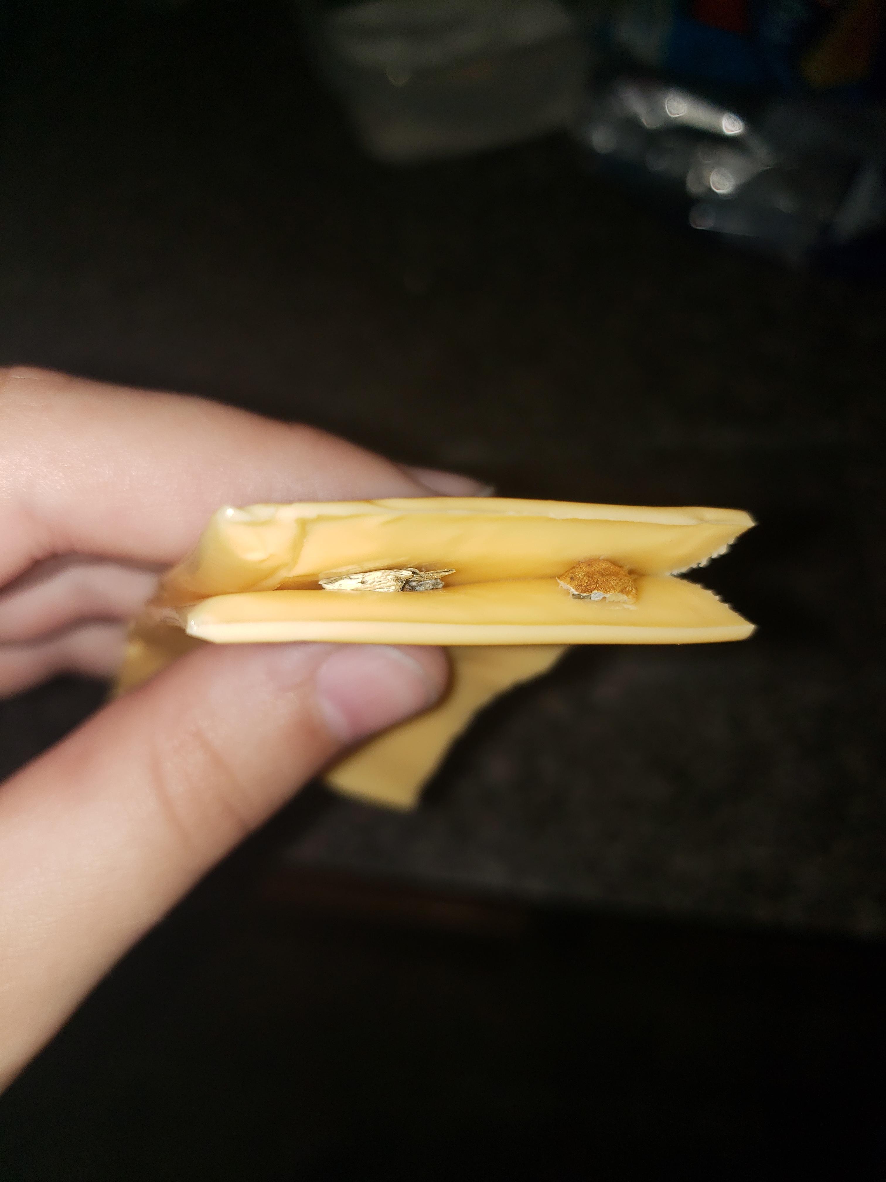 First microdose, taking my medicine the same way the dog does 😂 | Scrolller