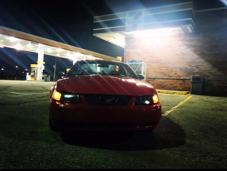 First photo shoot | Scrolller