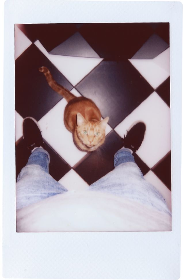 First shot with the Mini 70 | Scrolller