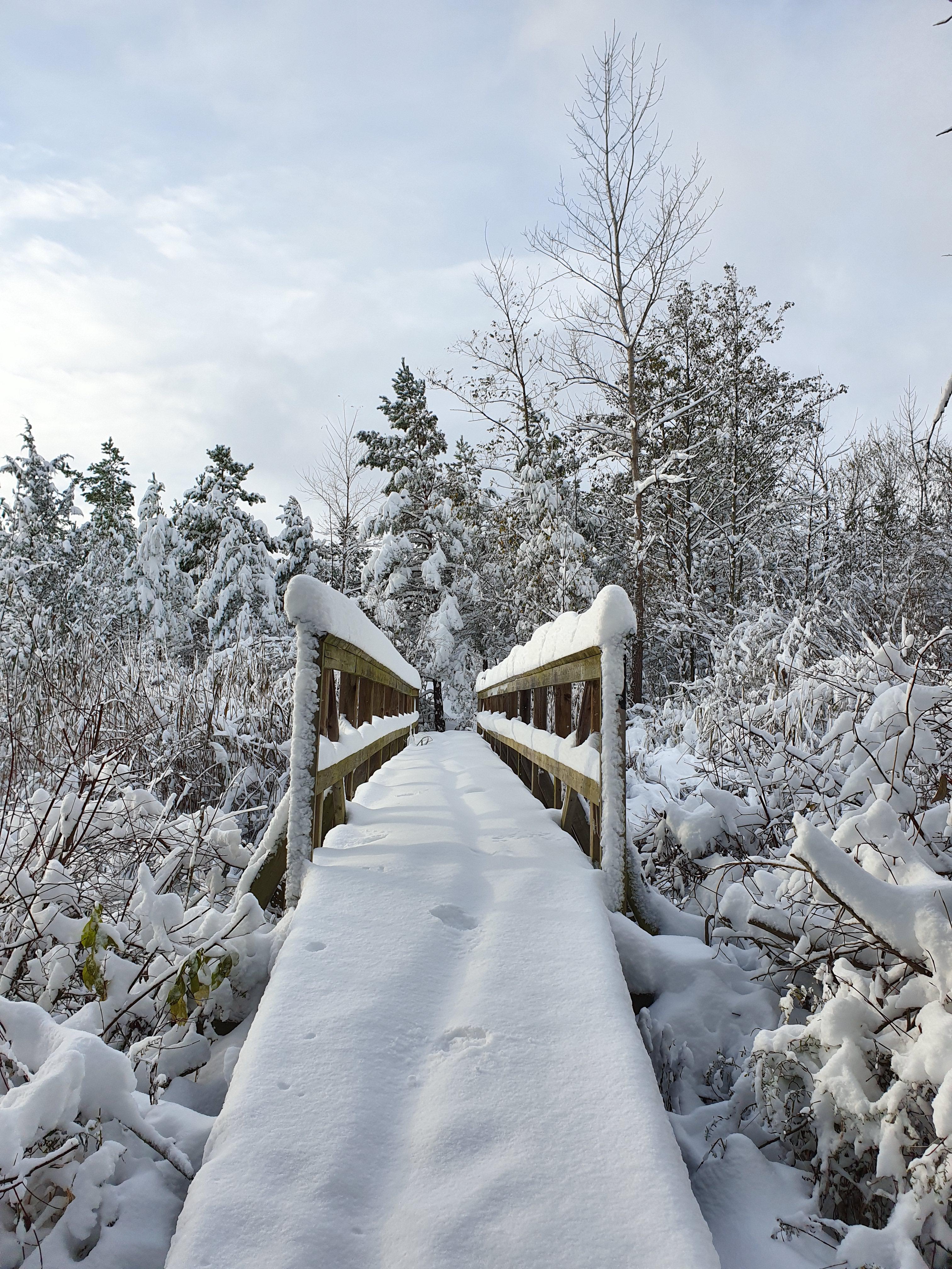 First snowfall of the season was a good one | Scrolller