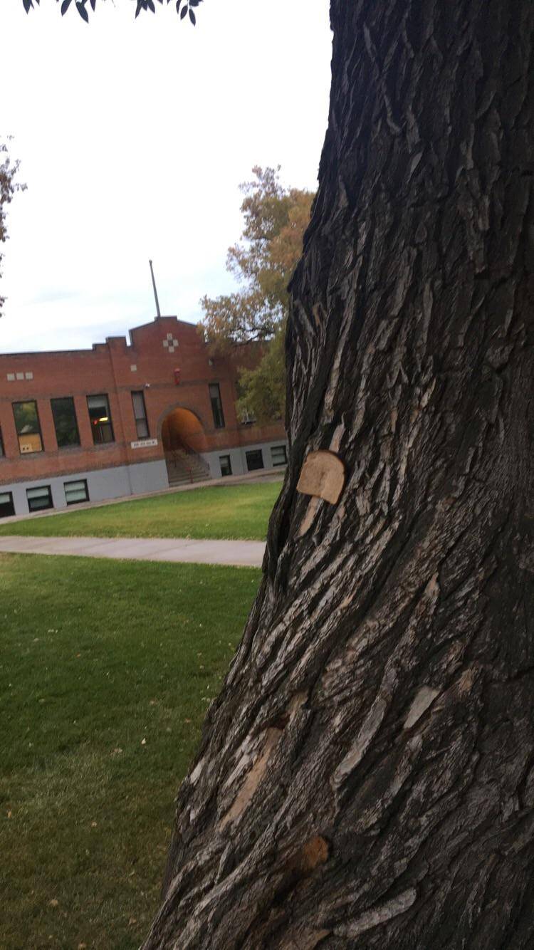 First Staple at my school, many more coming | Scrolller