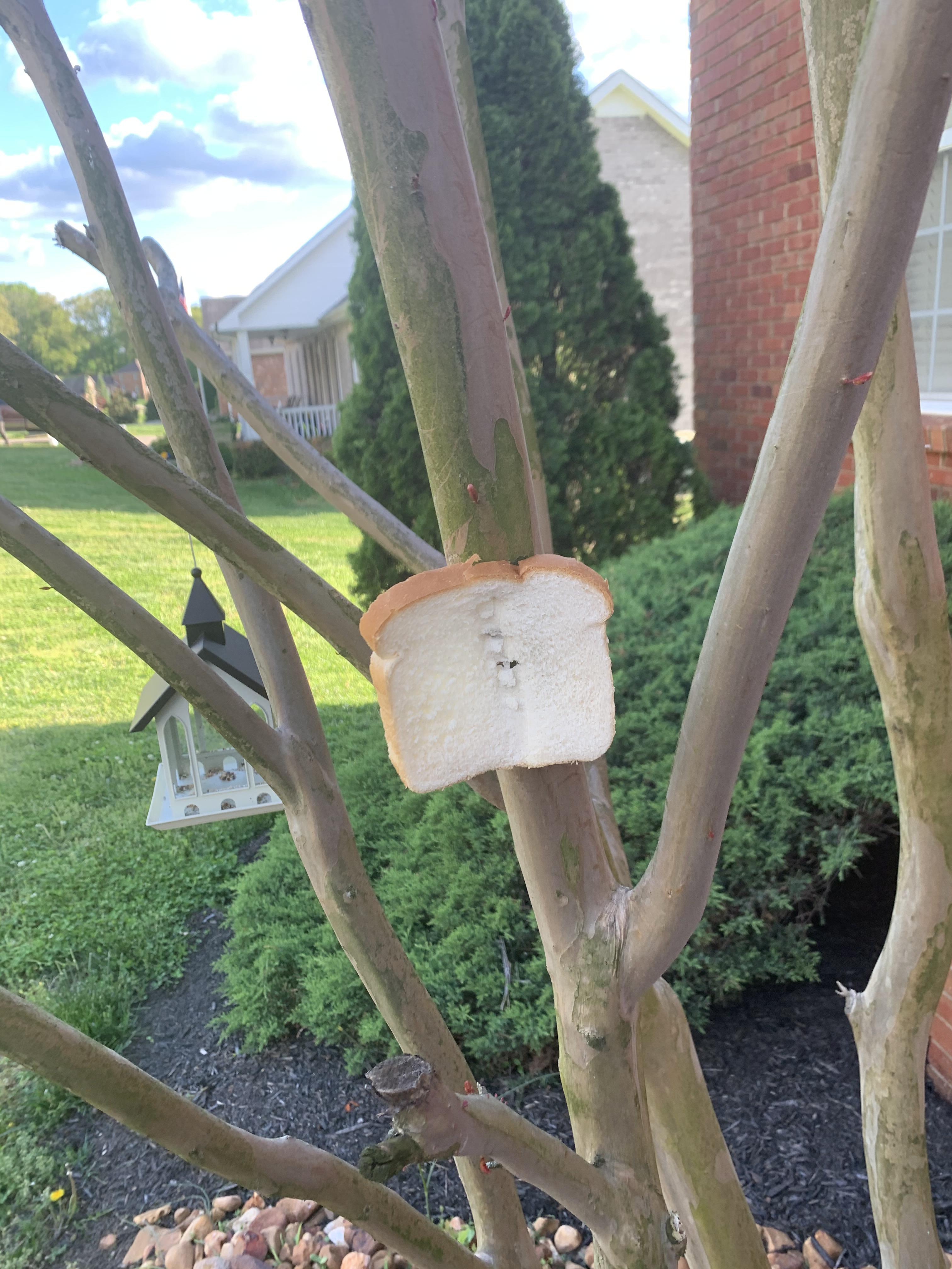 First staple with my sister | Scrolller