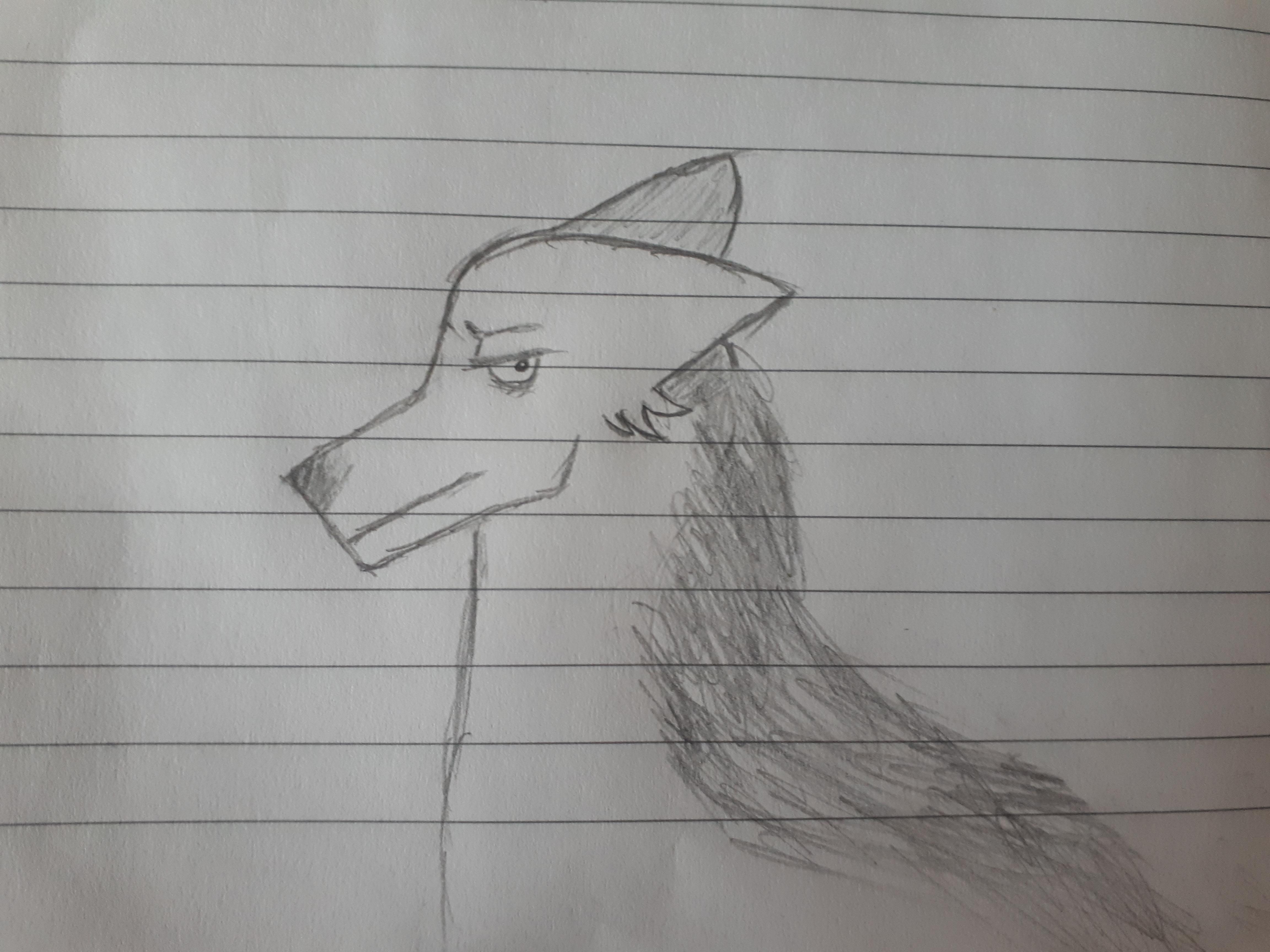 First time drawing | Scrolller