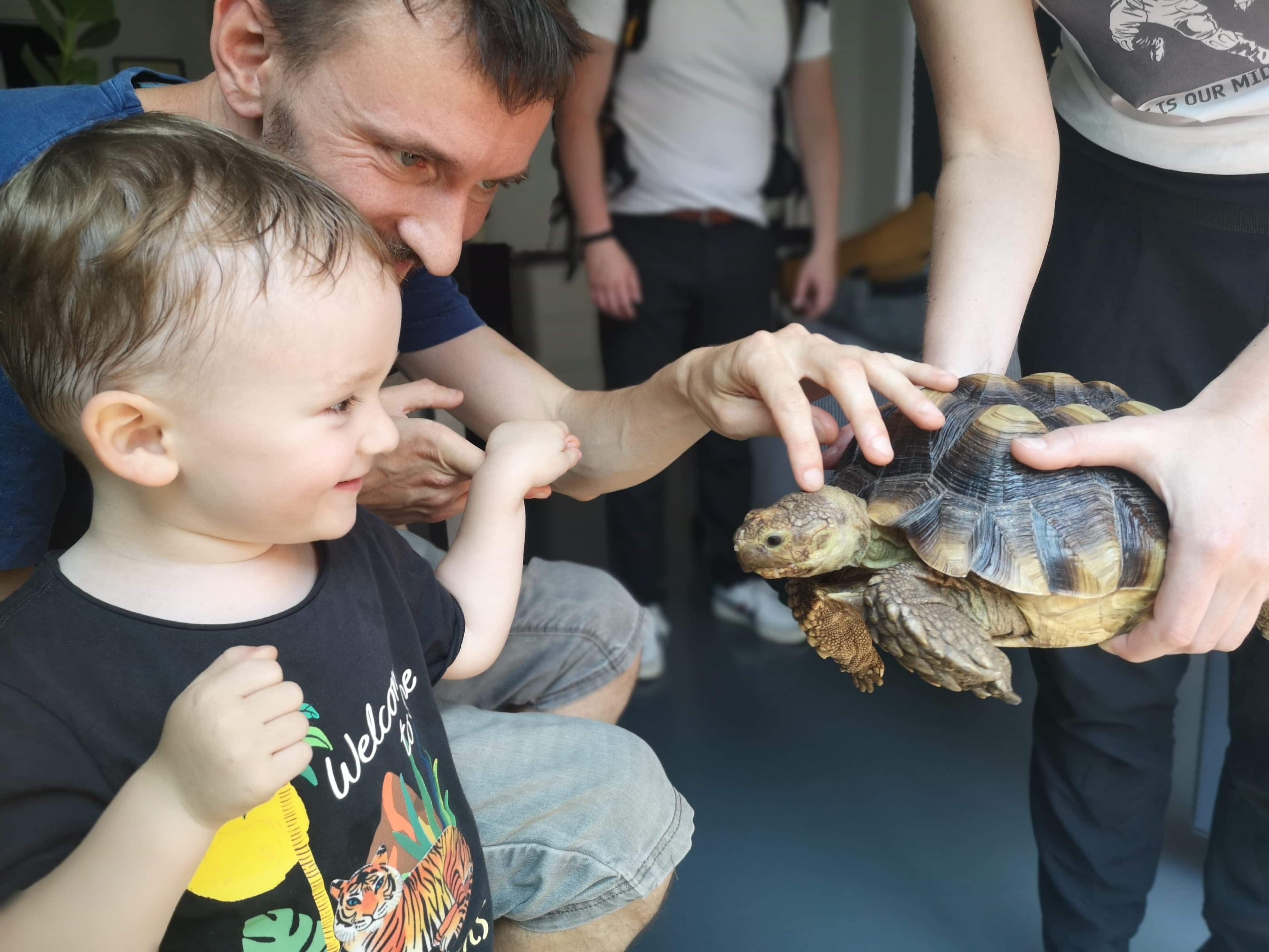 First time ever seeing the tortoise. | Scrolller