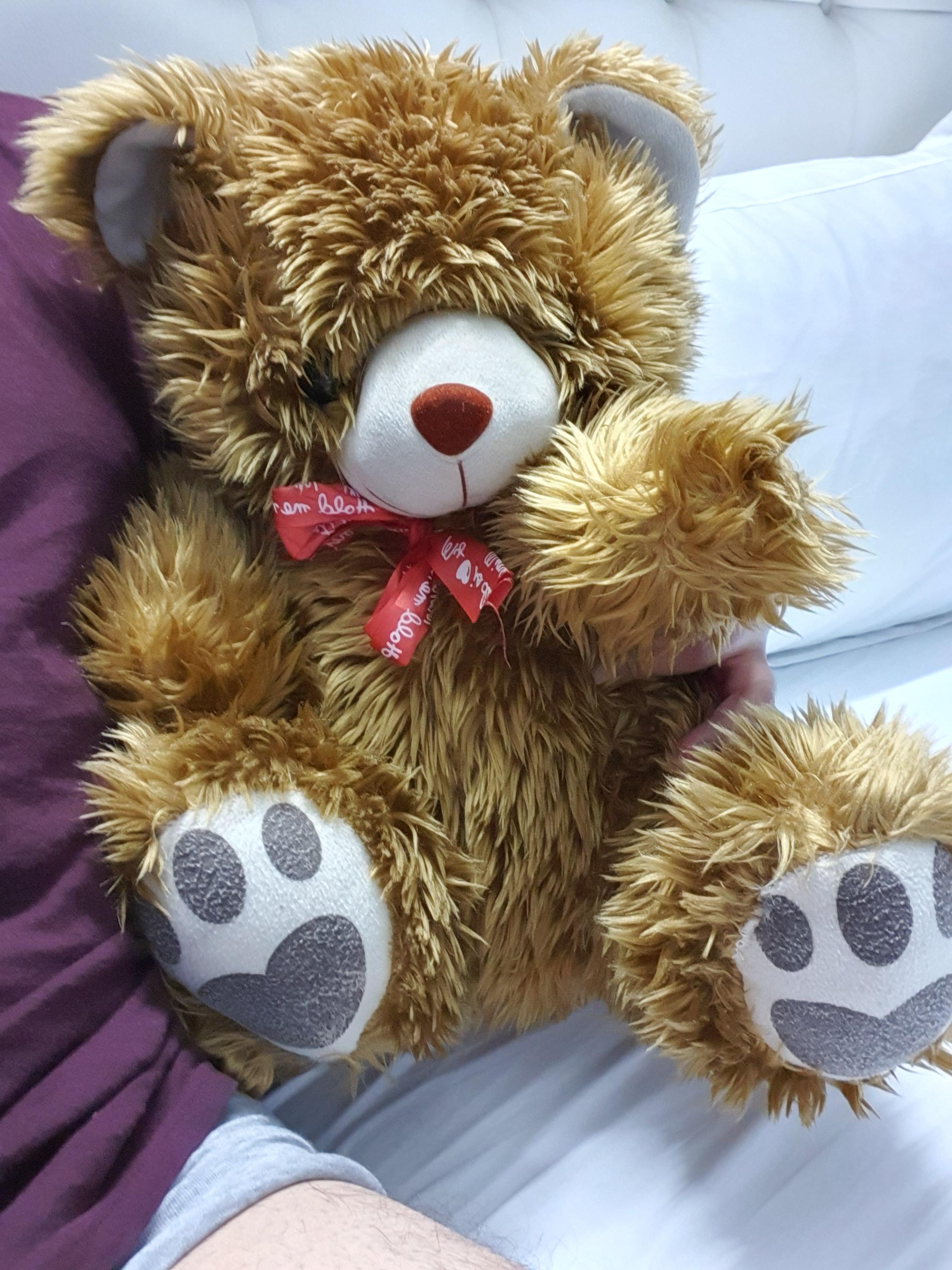 First time posting. My cute little teddy wanted to say hi 🥰🥰 | Scrolller