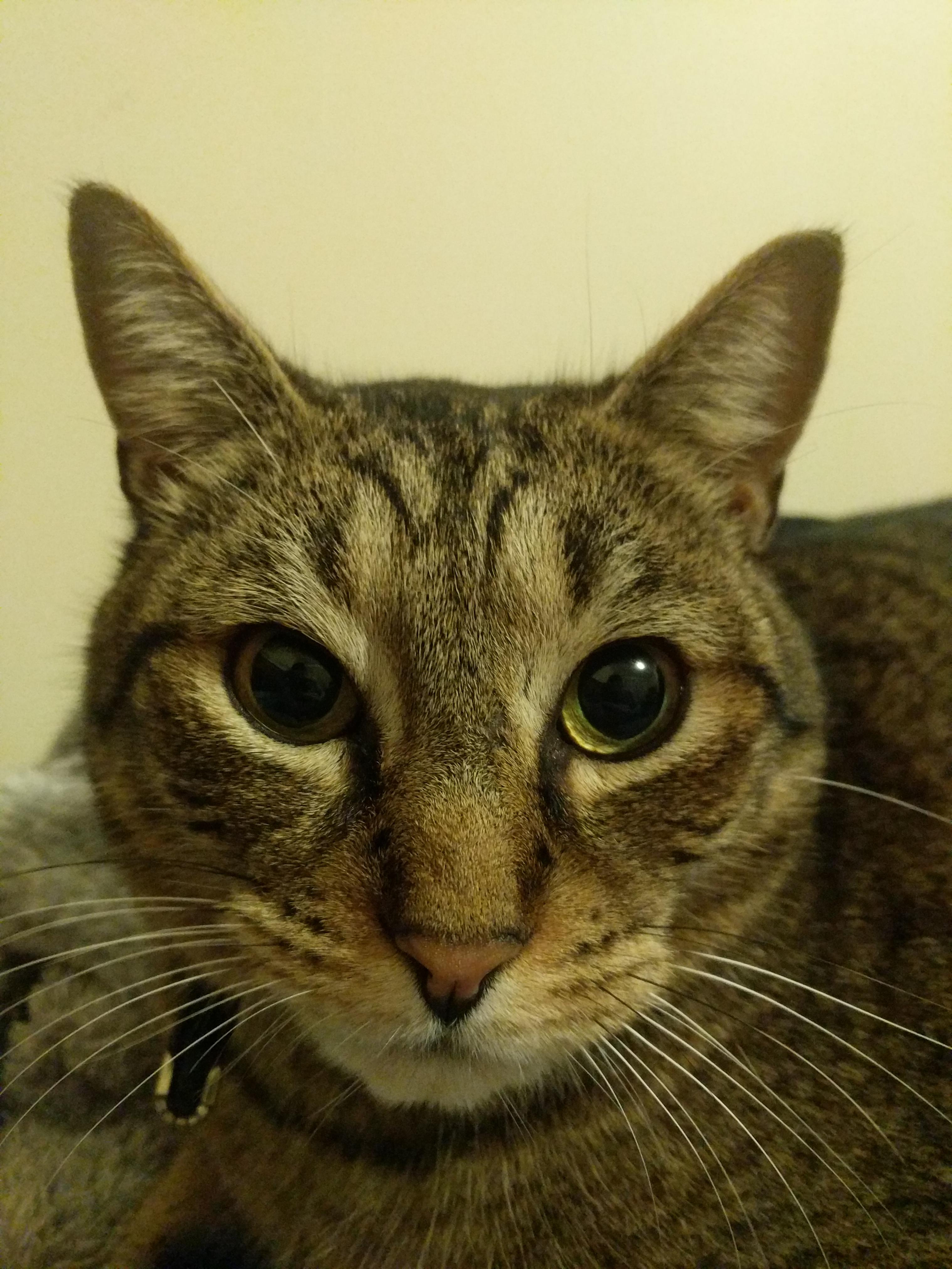 First time rolling! My pupils are huge! | Scrolller