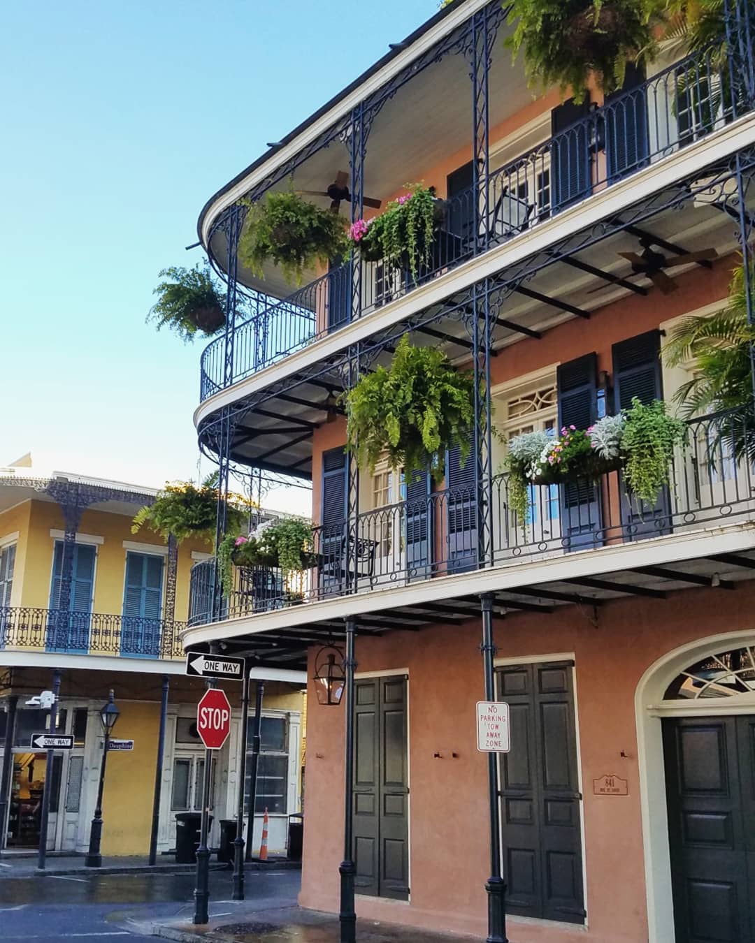 First time visitor. Loving your city so far! | Scrolller