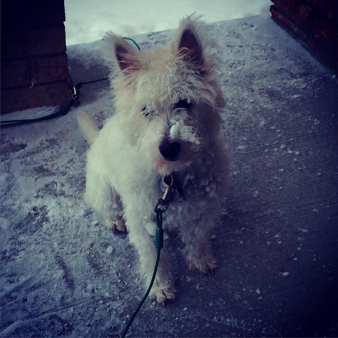 First winter | Scrolller