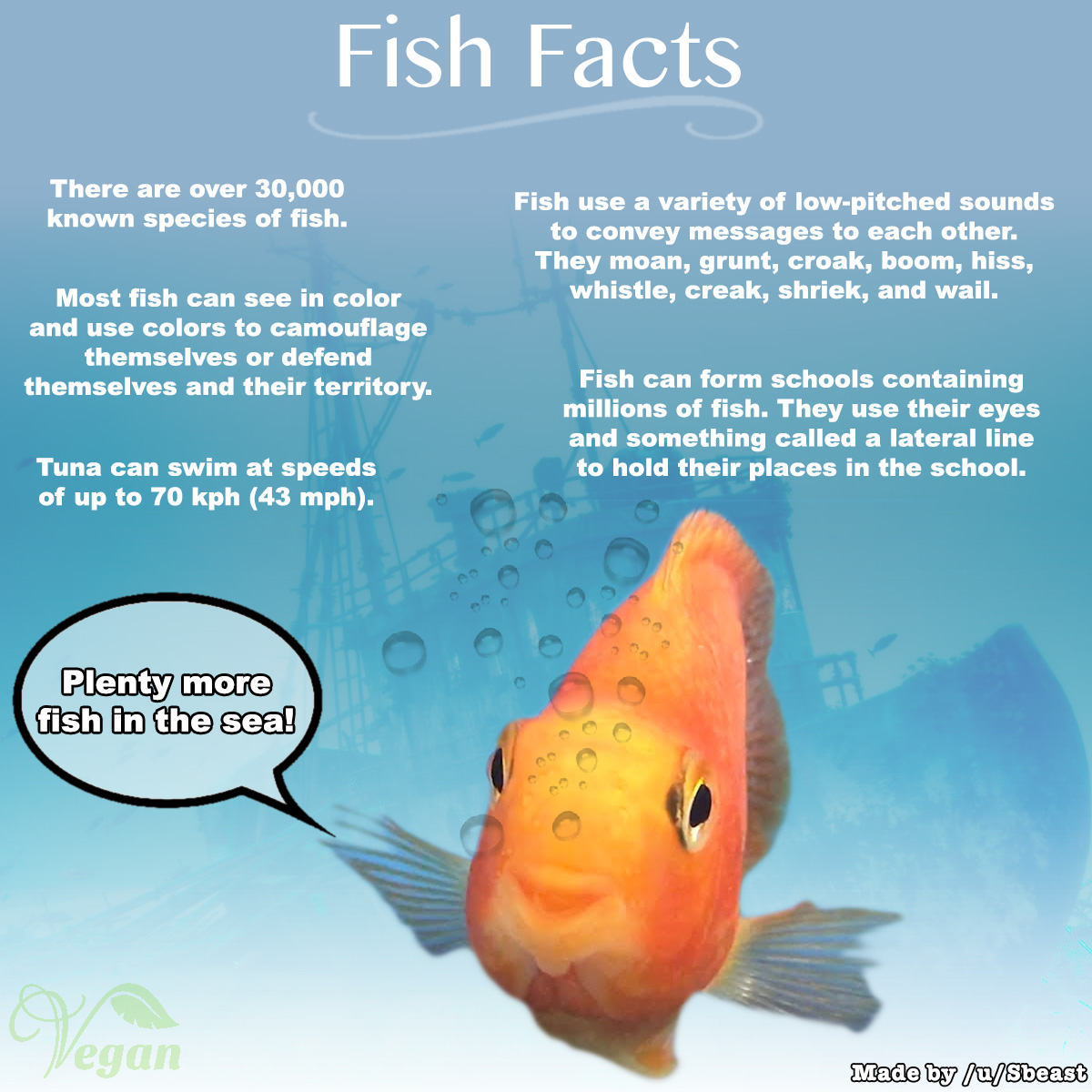 Fish Facts | Scrolller