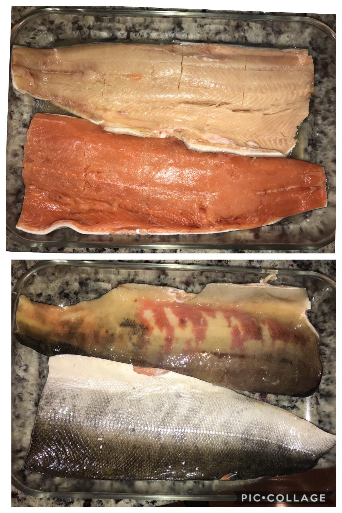 Fish identification help please! the fish fillets are both supposed to be salmon, but the top ...