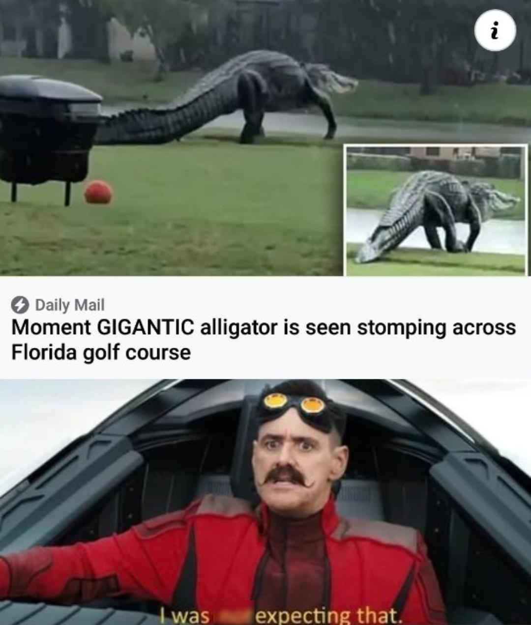 Fixed it | Scrolller