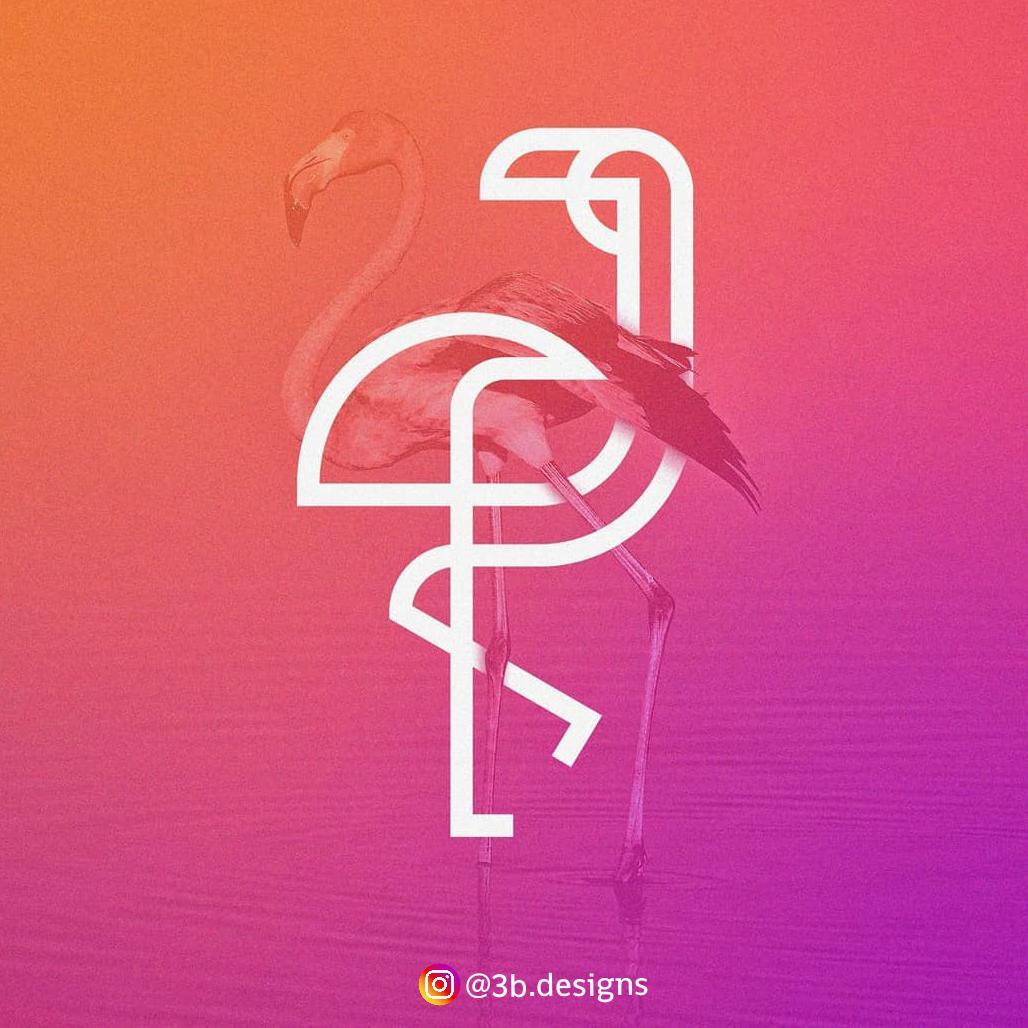 Flamingo Line Logo Concept ⚡ | Scrolller