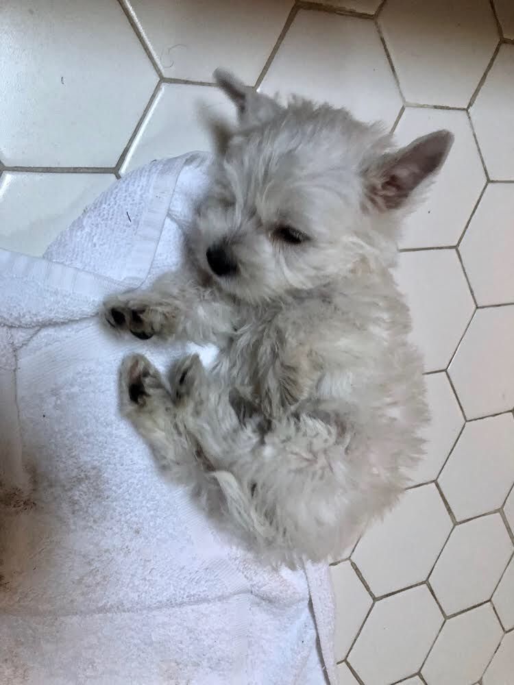 Flash back to when she was a little nugget | Scrolller