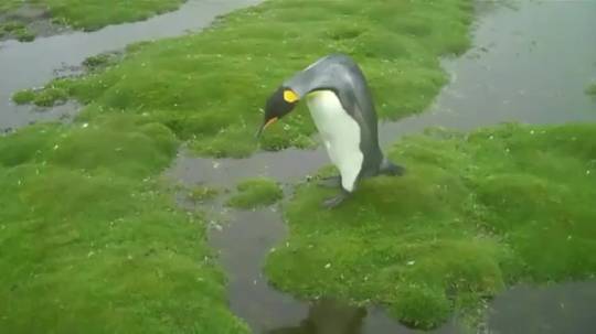 flawless execution | Scrolller