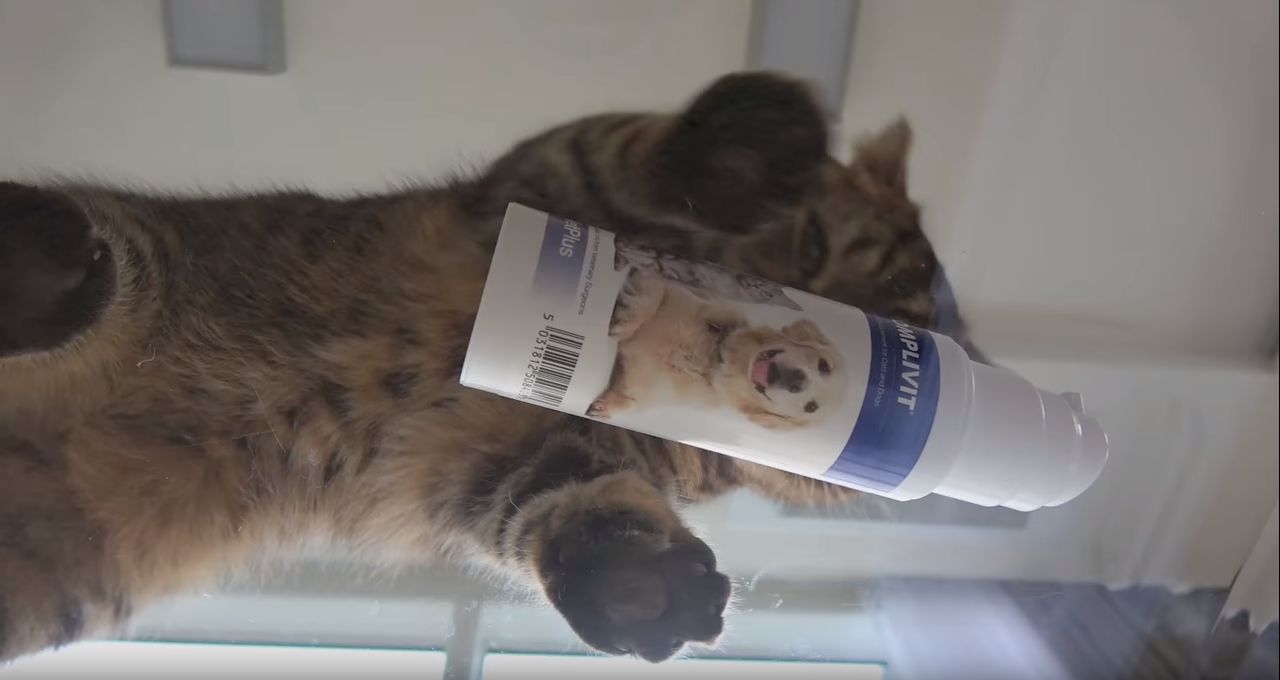 Floating beans | Scrolller