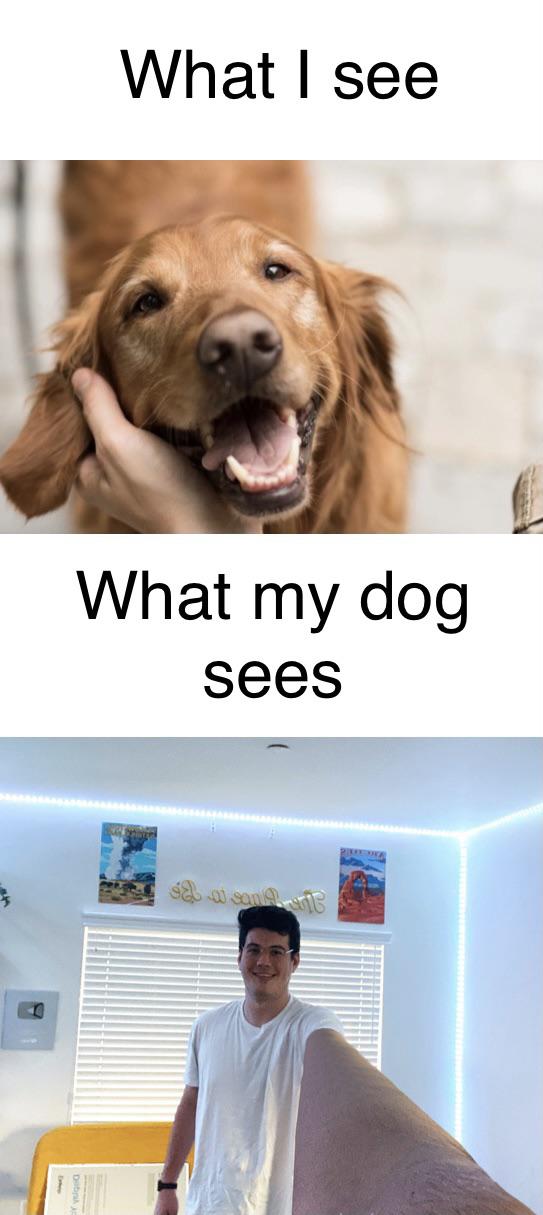 floof haha | Scrolller