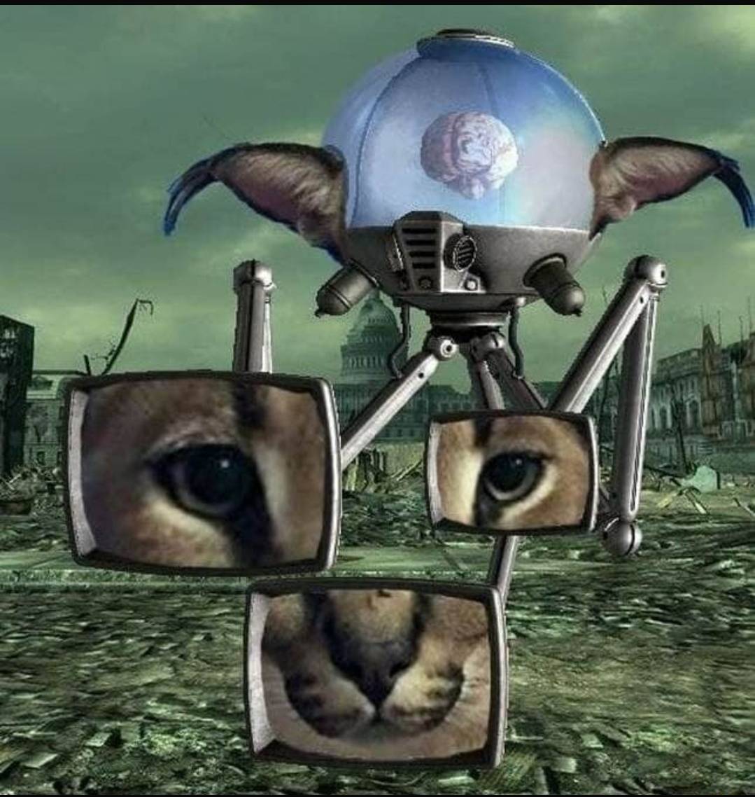 Floppa Punk 2077 lookin clean 🤐 | Scrolller