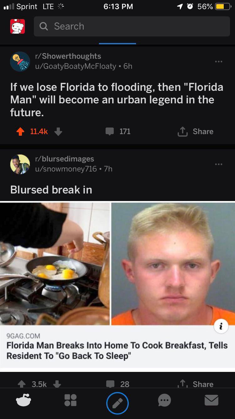 Florida man odds | Scrolller