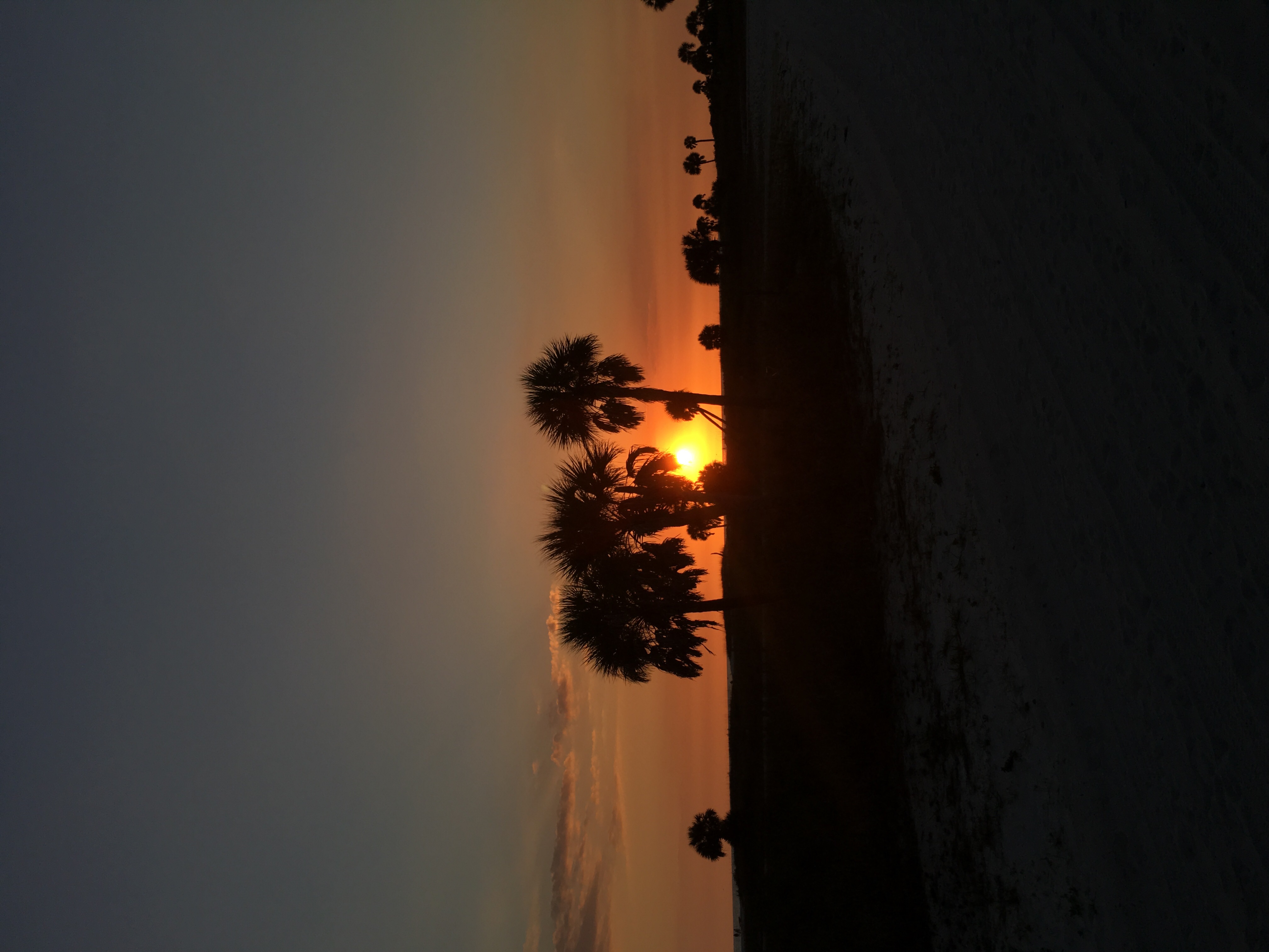 Florida| March 2016 | Scrolller