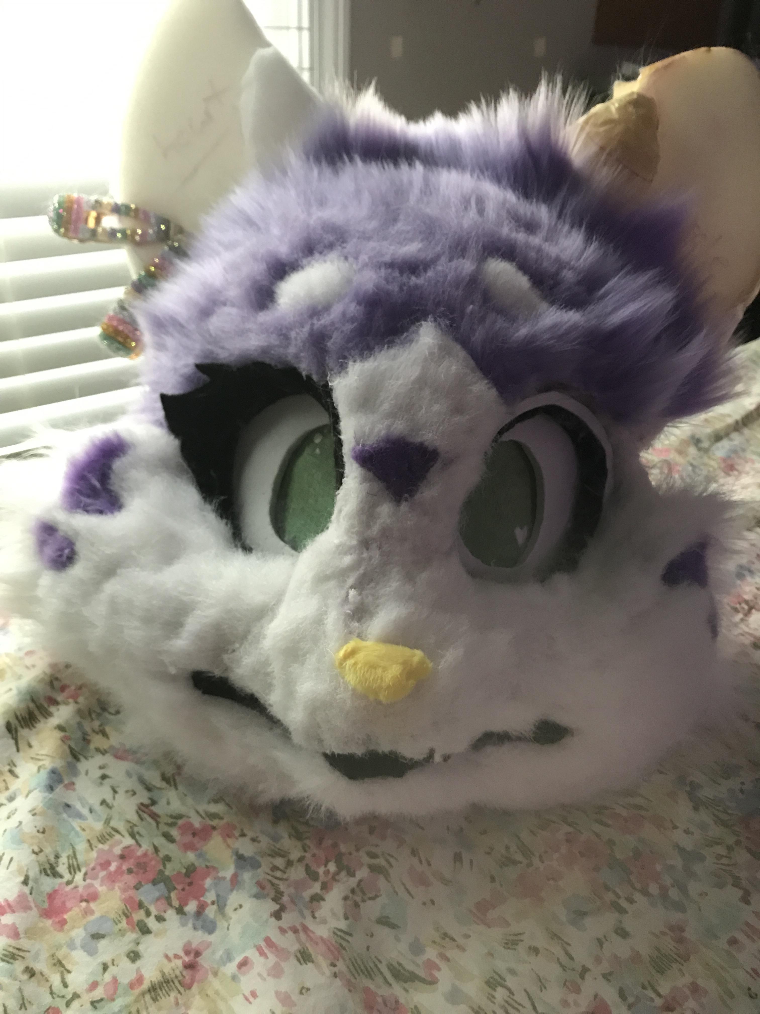 fluffy boy | Scrolller