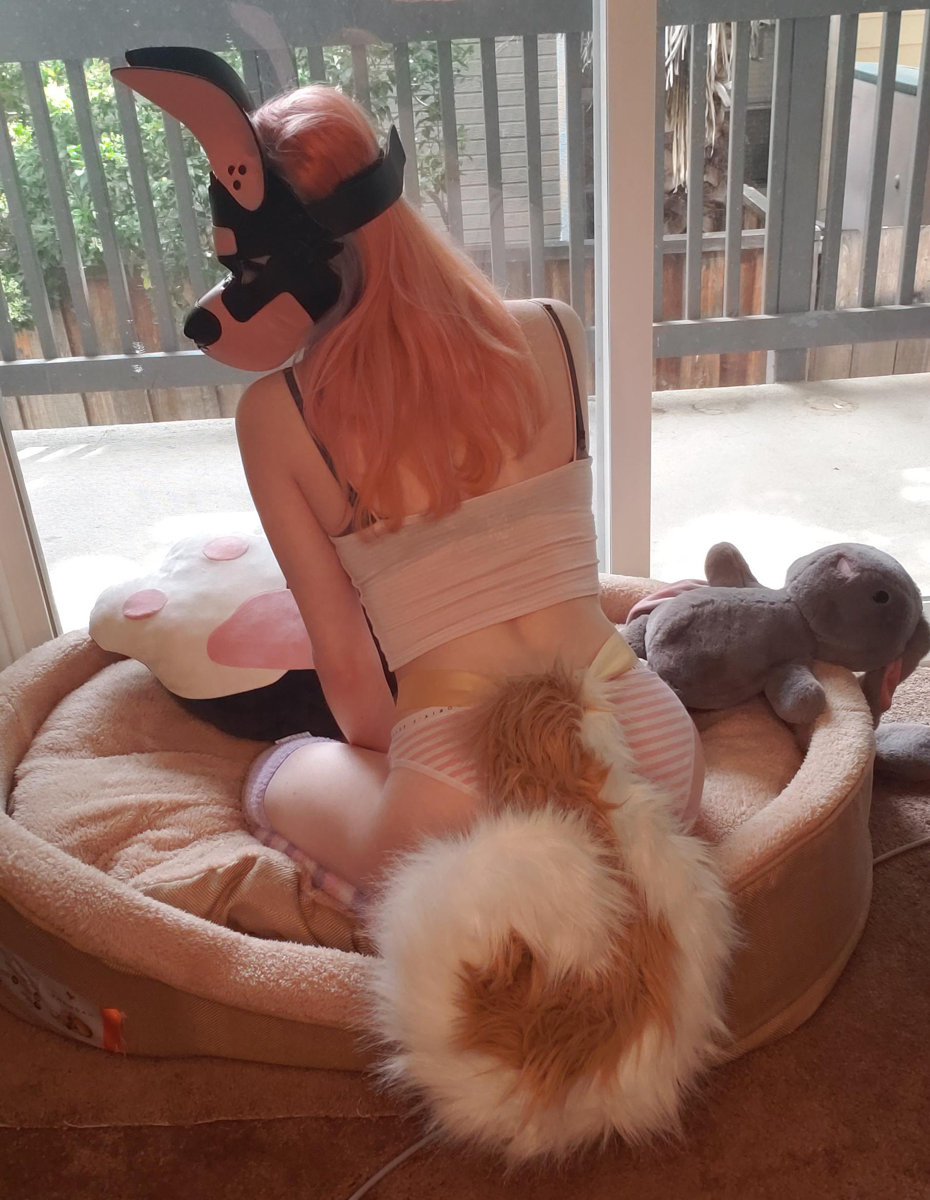 Fluffy butt puppy 🐶 | Scrolller