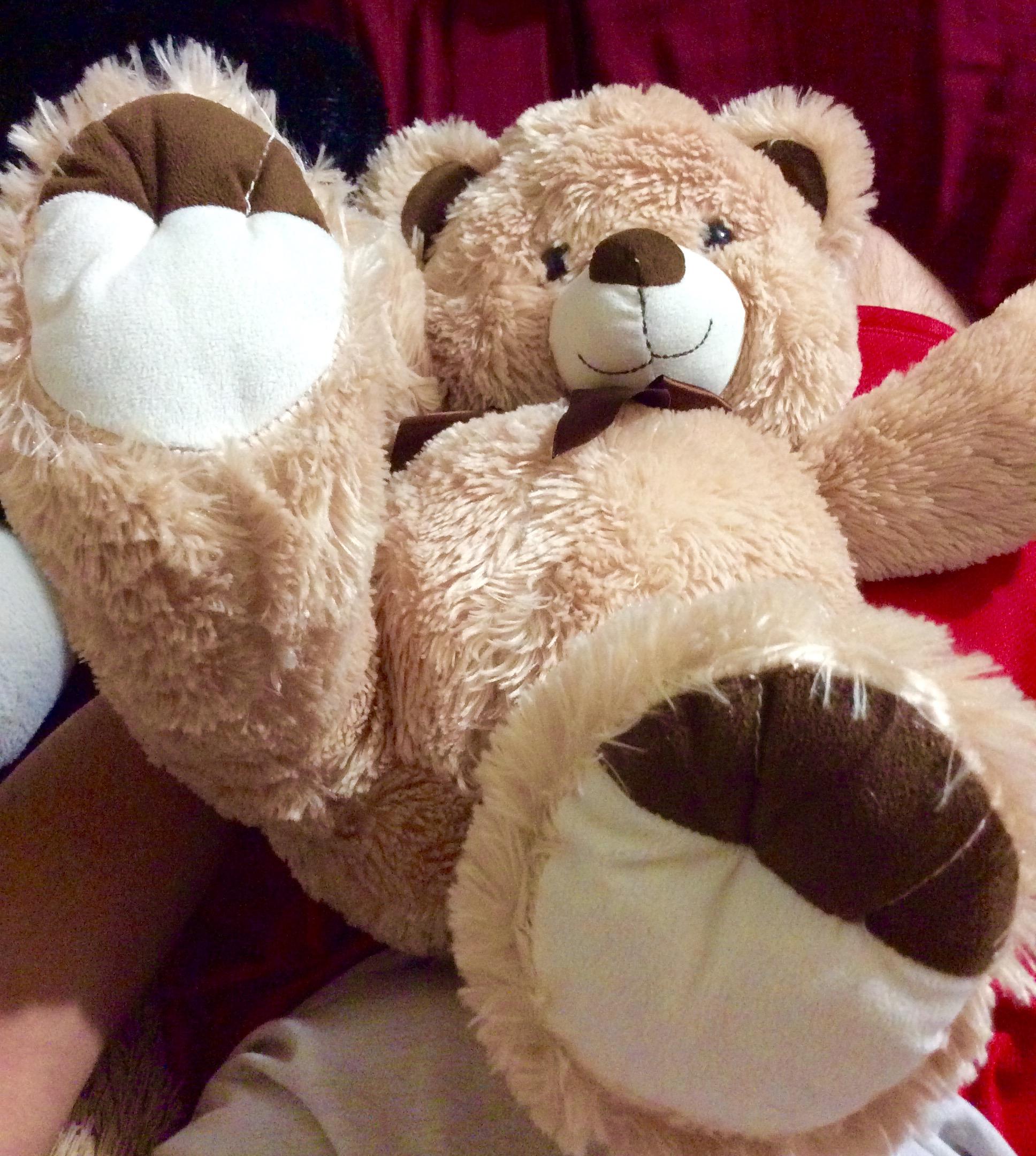 Fluffy teddy bear. 🐻 | Scrolller