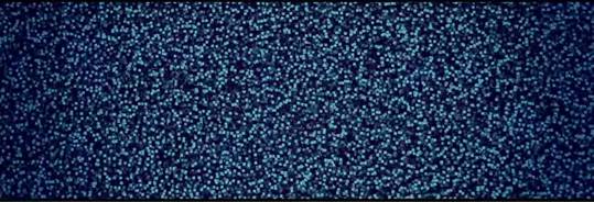 fluid interchange | Scrolller