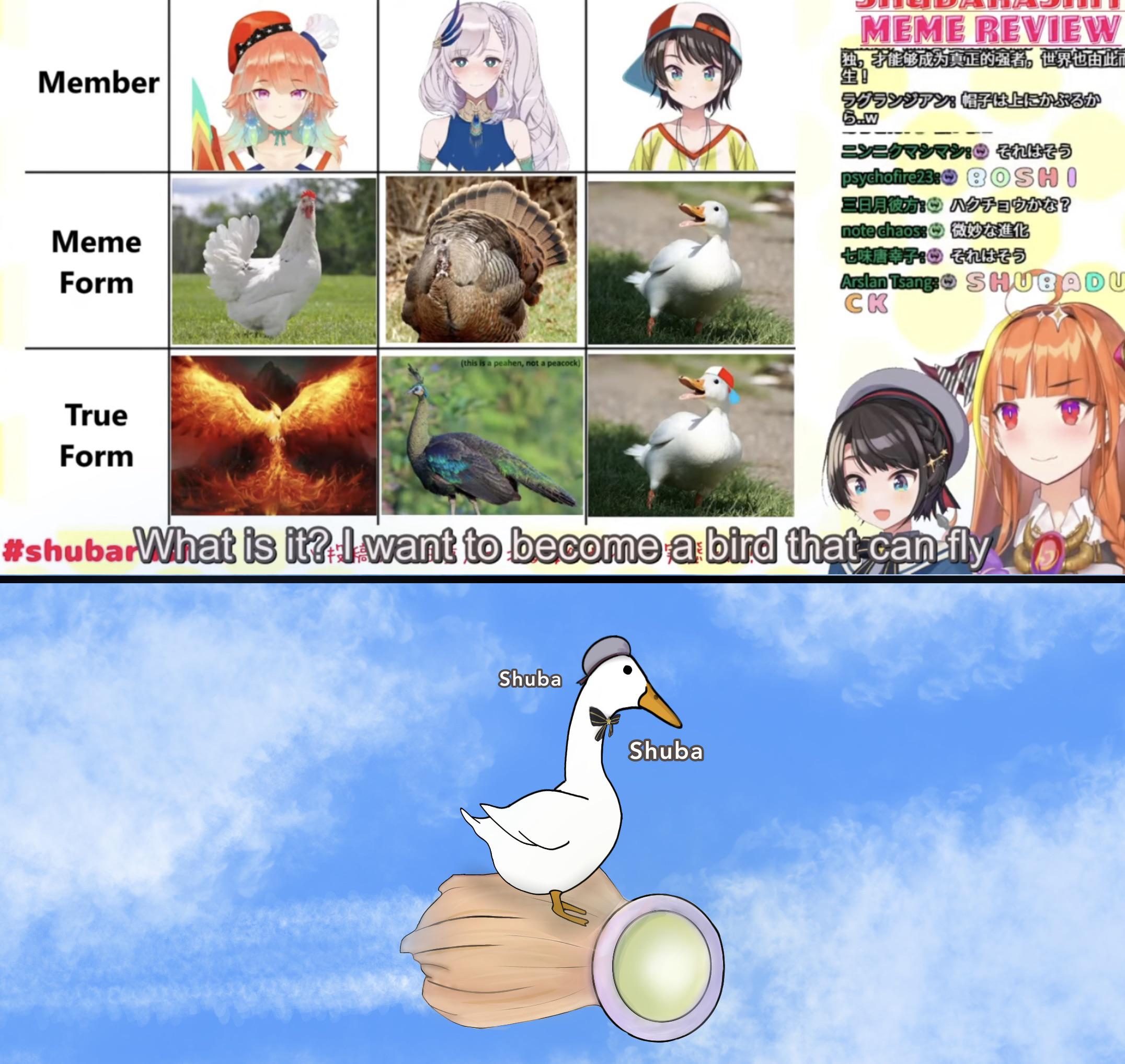 Flying shubaduck | Scrolller