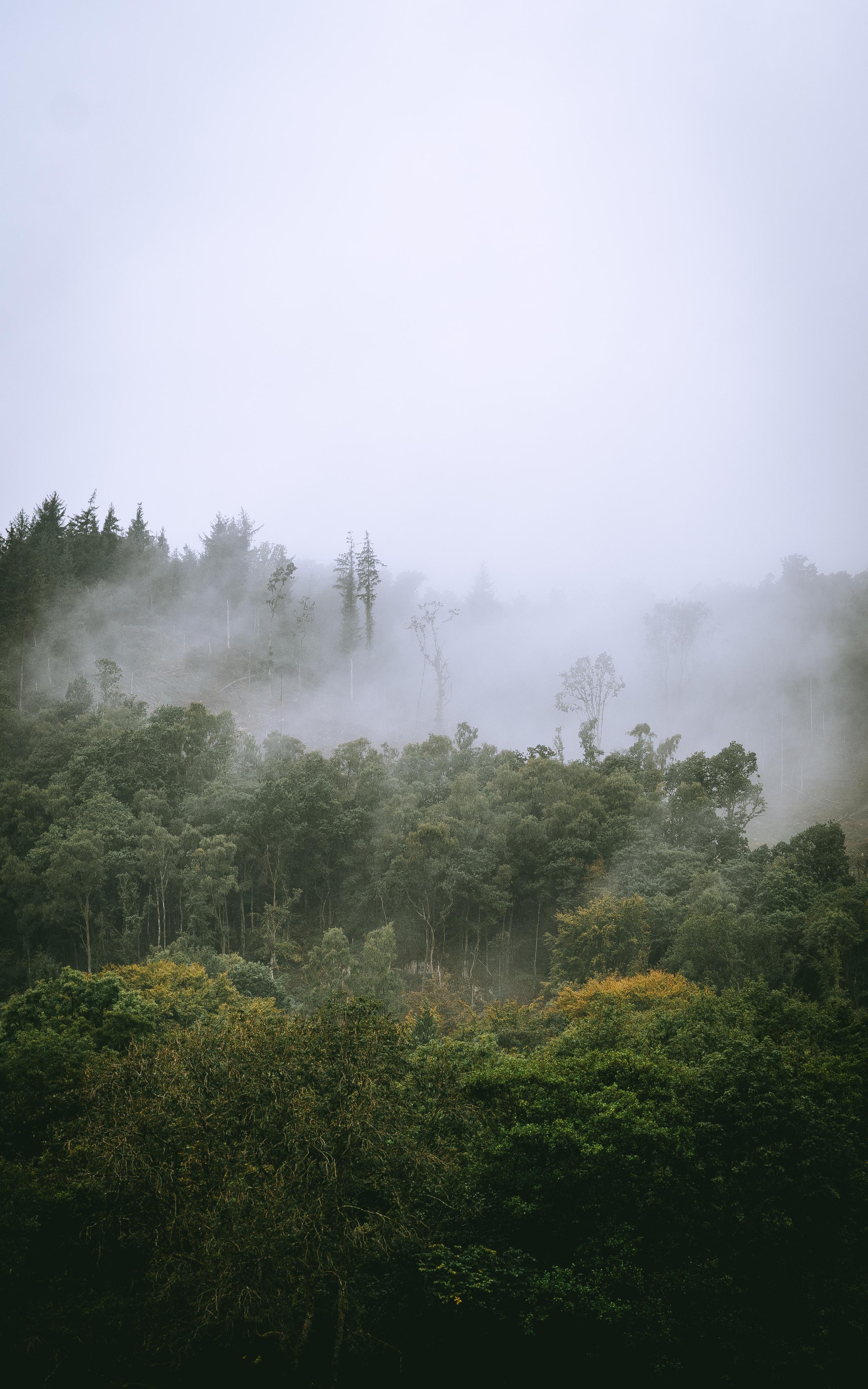 Fog rolling in [2500x4000] [OC] | Scrolller