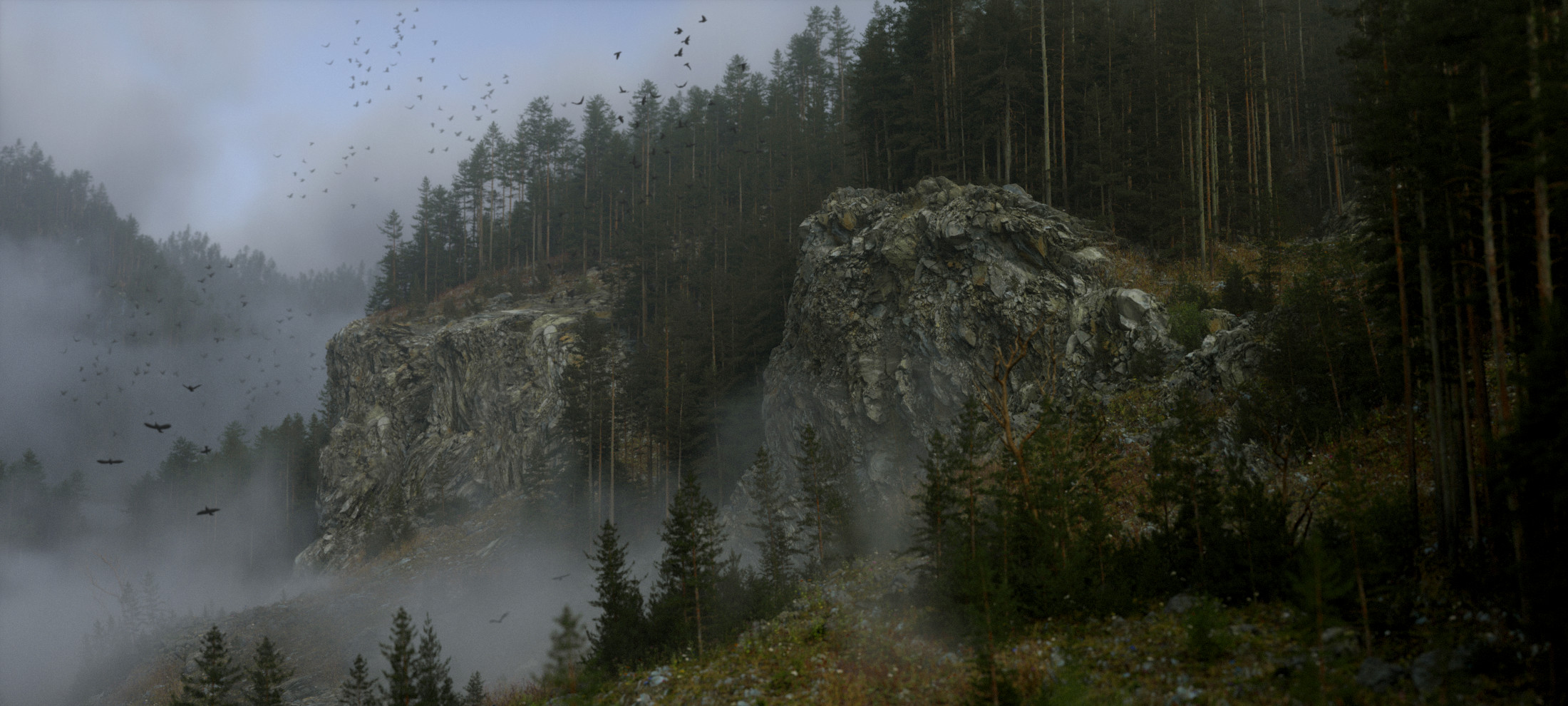 Foggy Cliff Side by Calder Moore | Scrolller