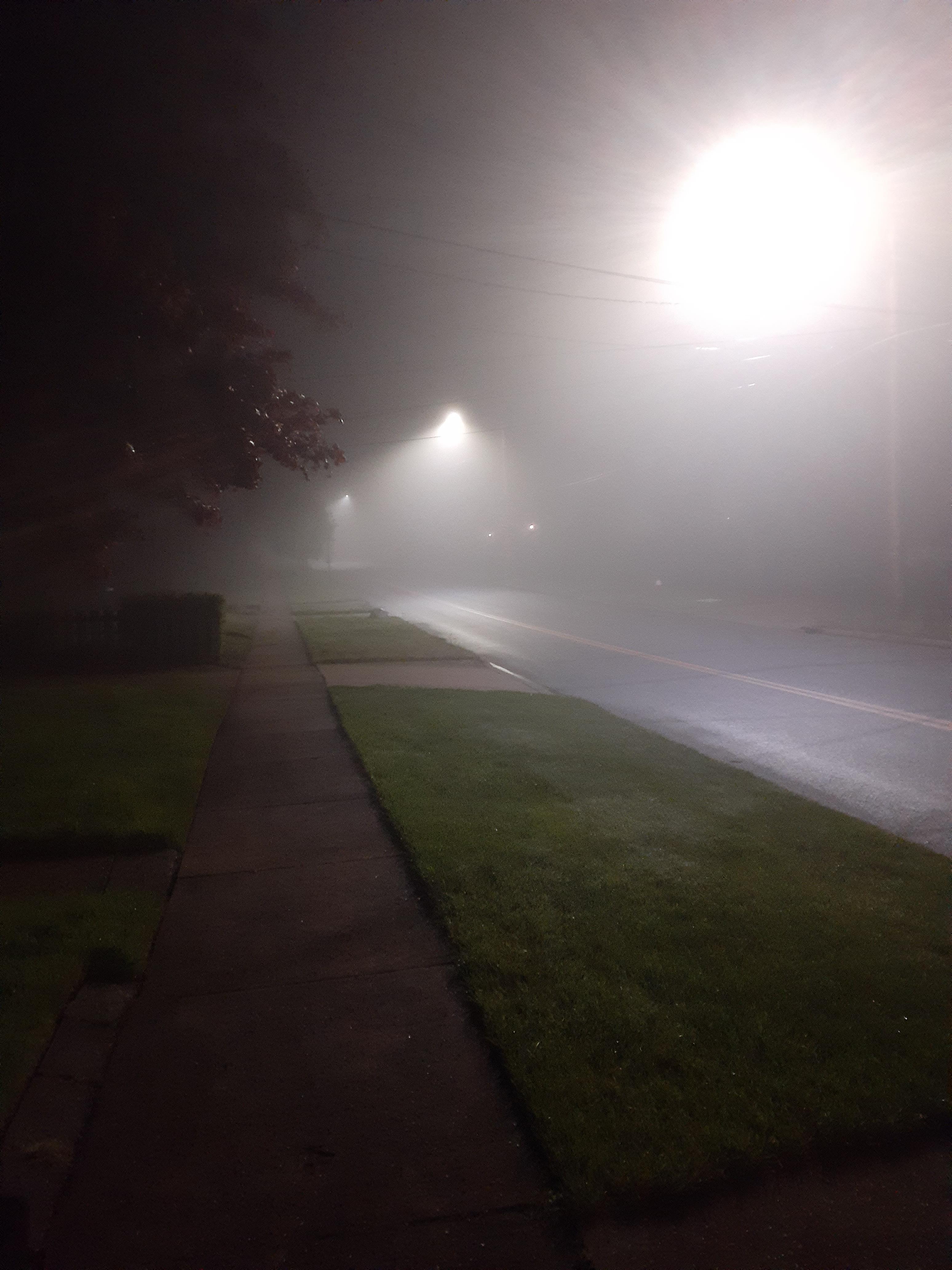 Foggy morning in Ohio | Scrolller