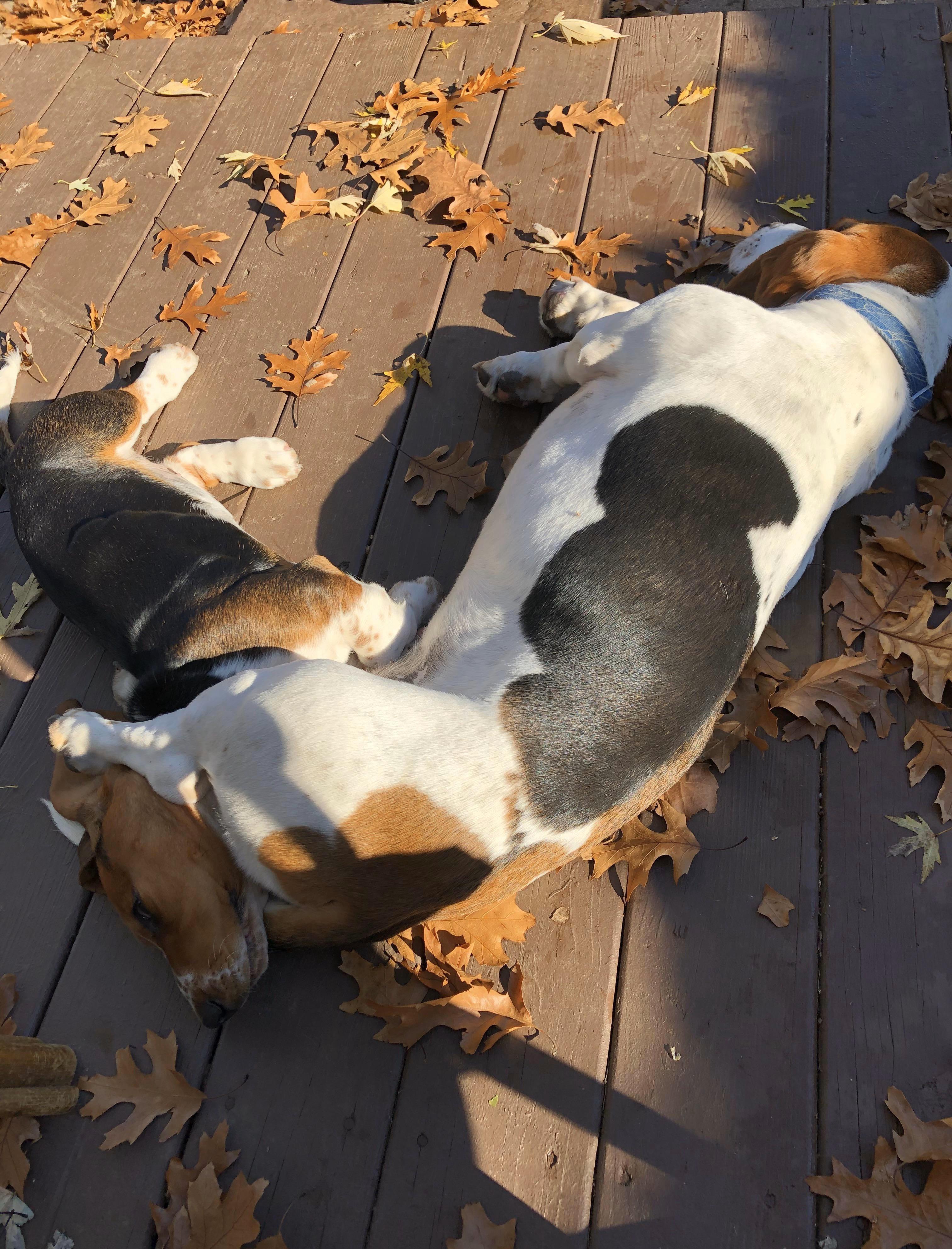 Foot stool! | Scrolller