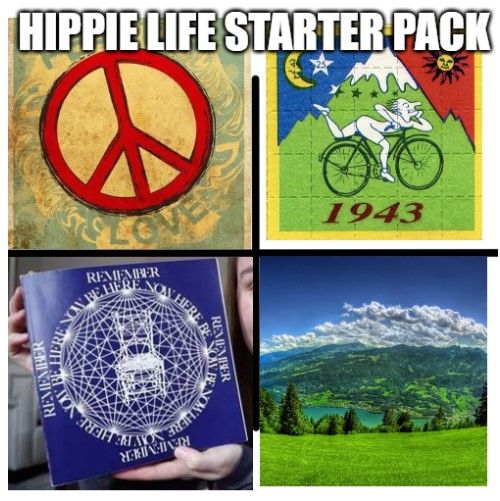 for beginners | Scrolller