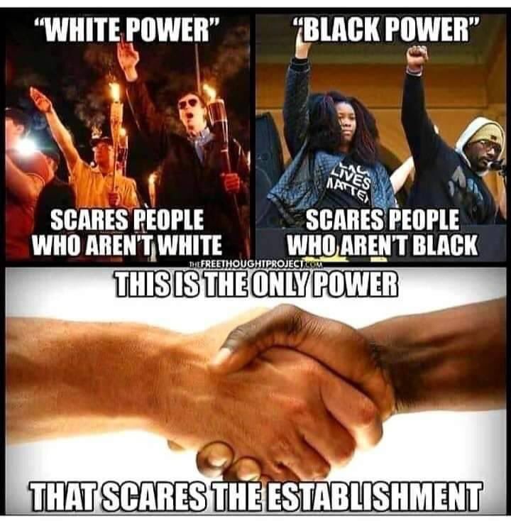 For those still unsure... This is how we solve our problems | Scrolller