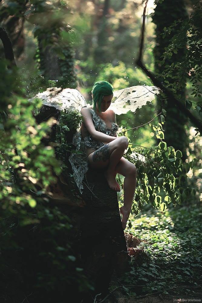 Forest Fairy | Scrolller