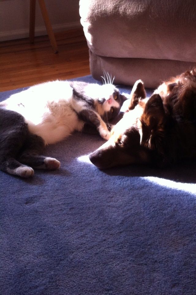 Forever in love. | Scrolller