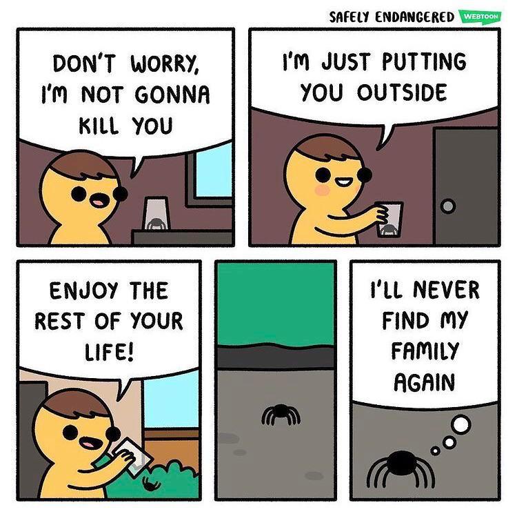 Forever lost | Scrolller