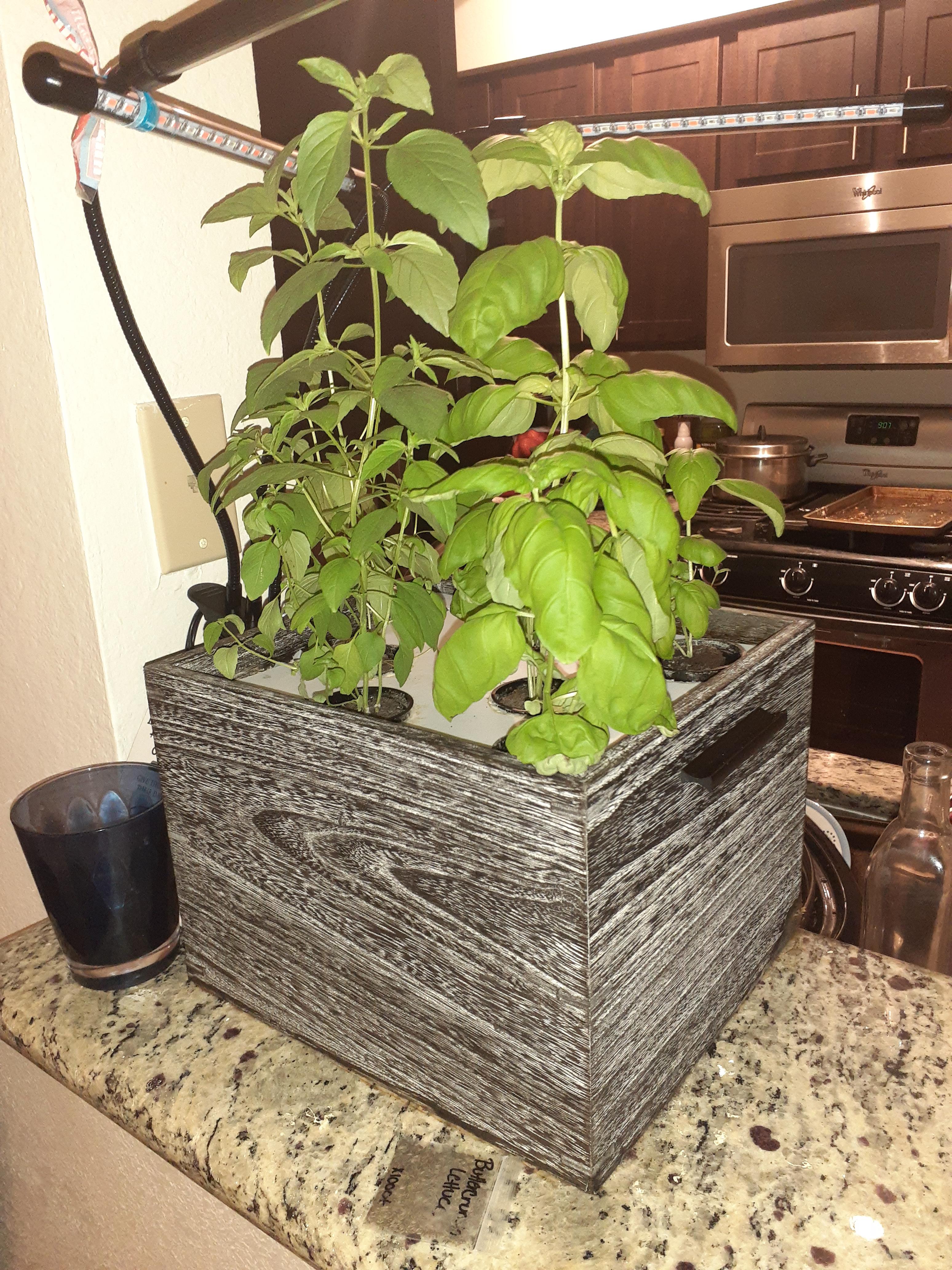 Form Over Function; an Attempt at a Beautiful Hydroponic System | Scrolller