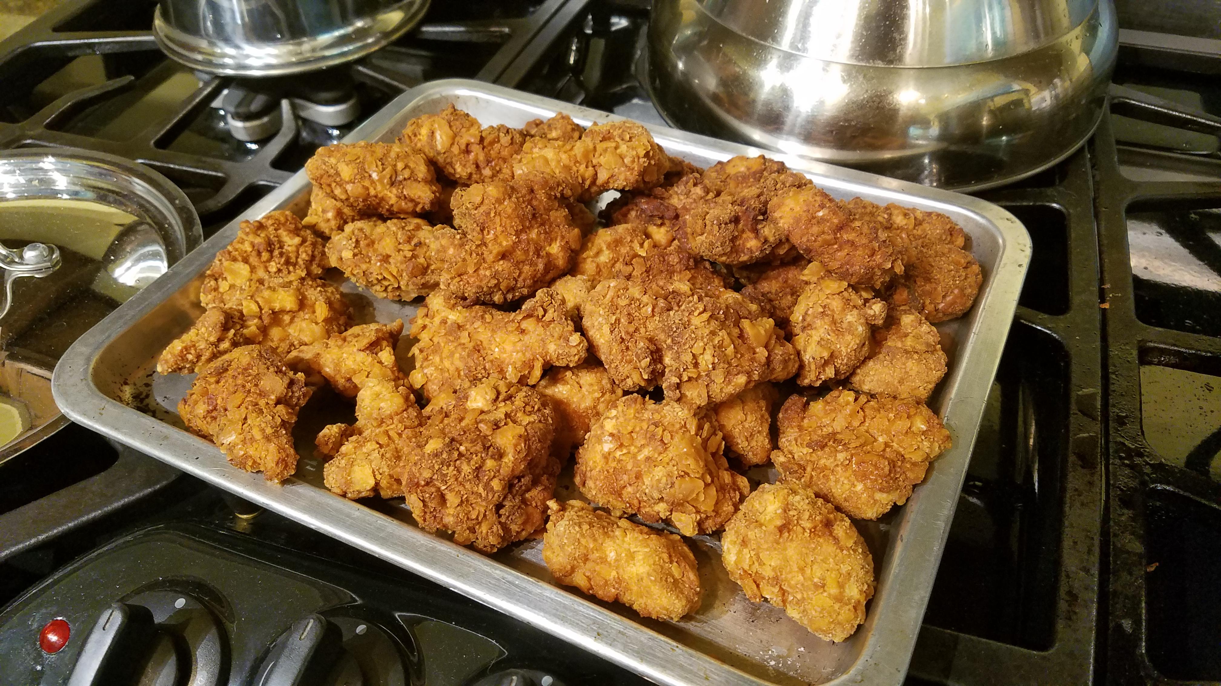 Roadkill | Pictures | Scrolller