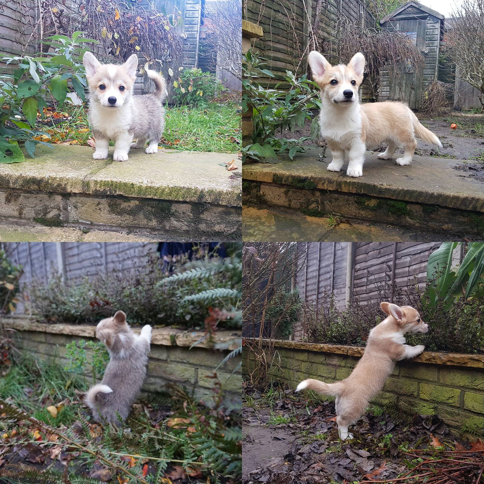 What a difference a month makes! | Scrolller