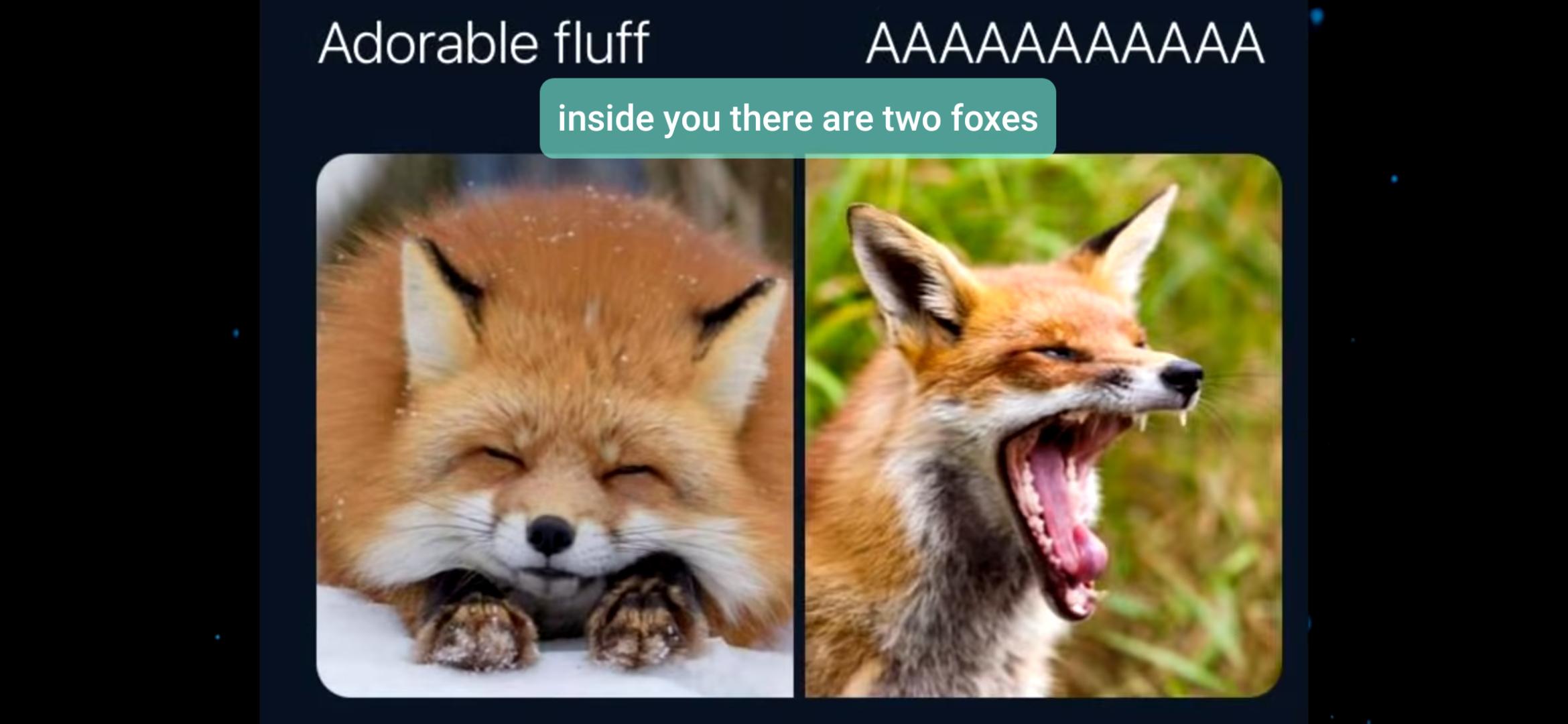 Fox_irl | Scrolller