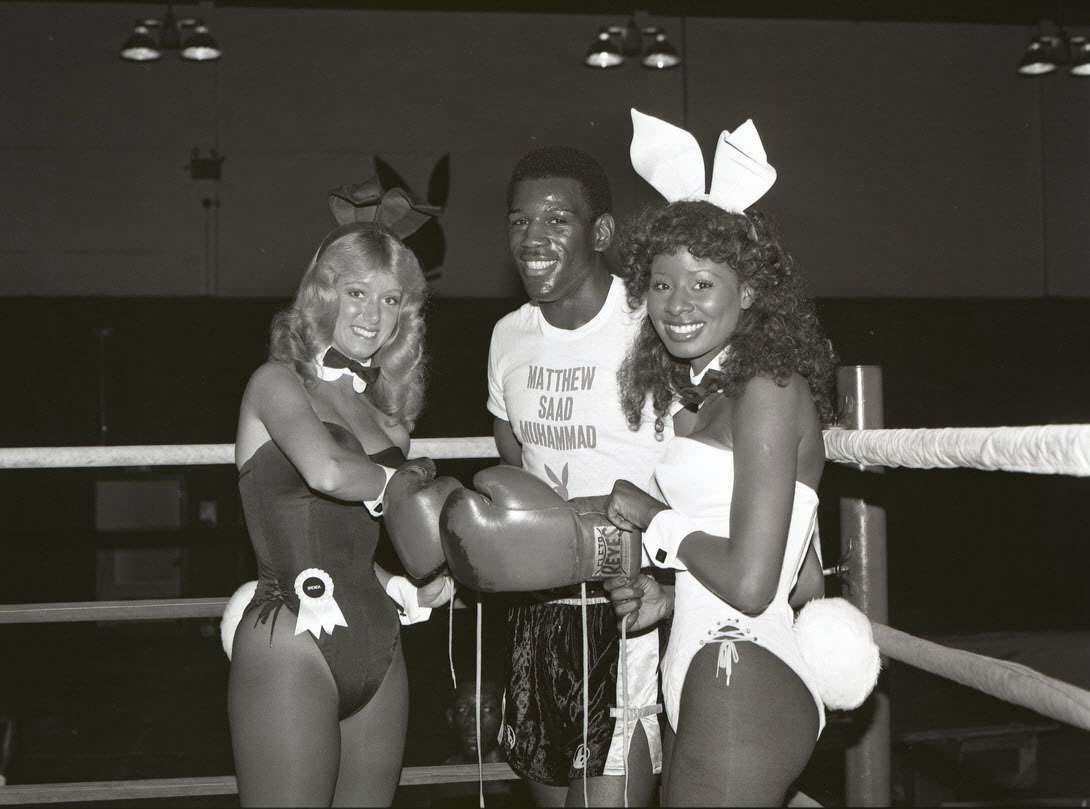 foxy bunny boxing | Scrolller