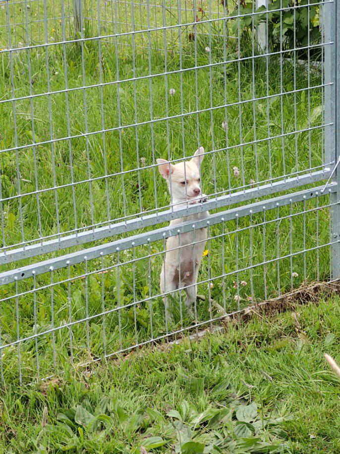 Free him | Scrolller