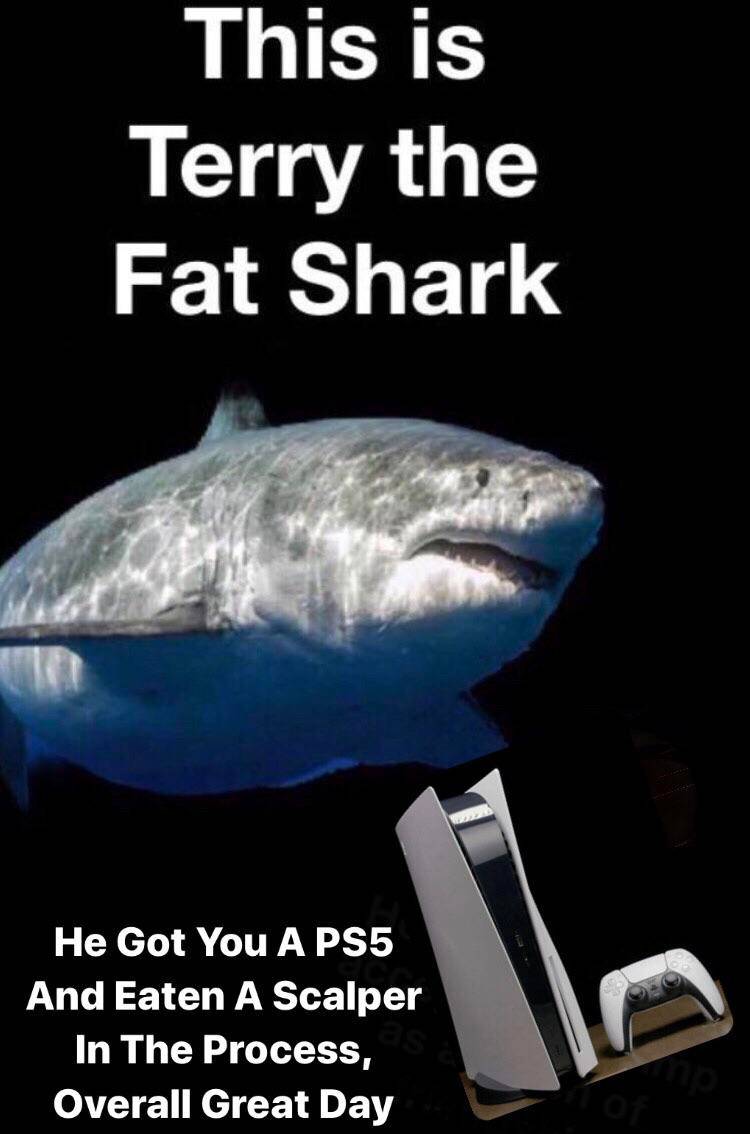 Free Lunch For Terry | Scrolller