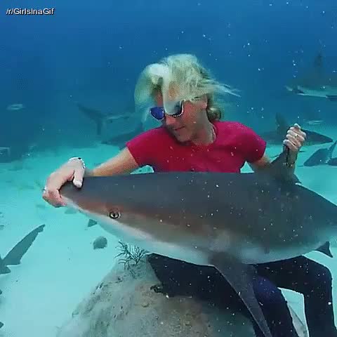 freediver Liz Parkinson hanging out with a shark | Scrolller