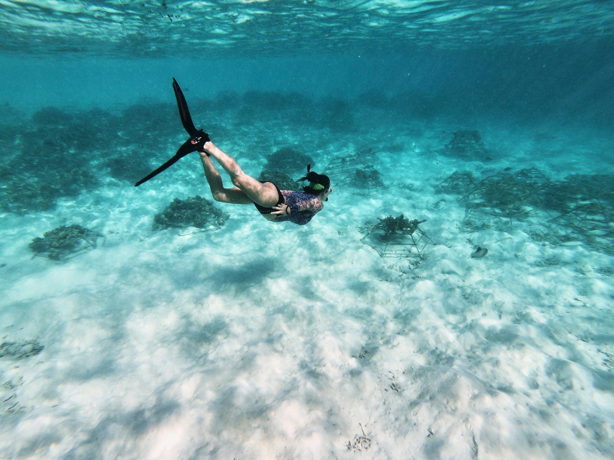 Freediving in the Maldives. OC | Scrolller