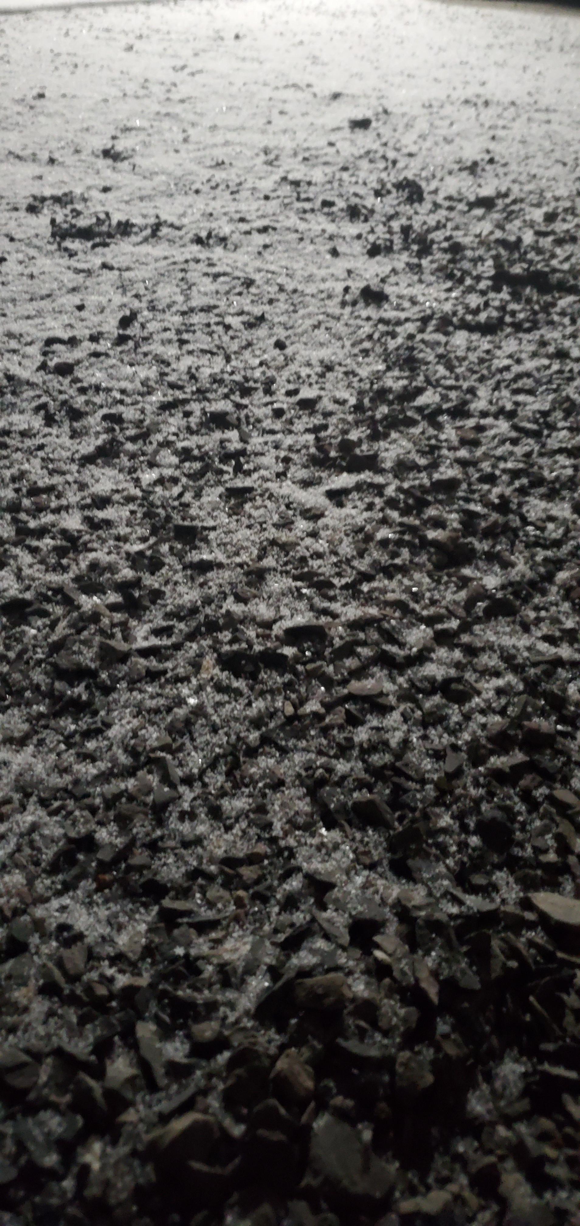 Fresh snow making me dream of mycelium 😍 | Scrolller