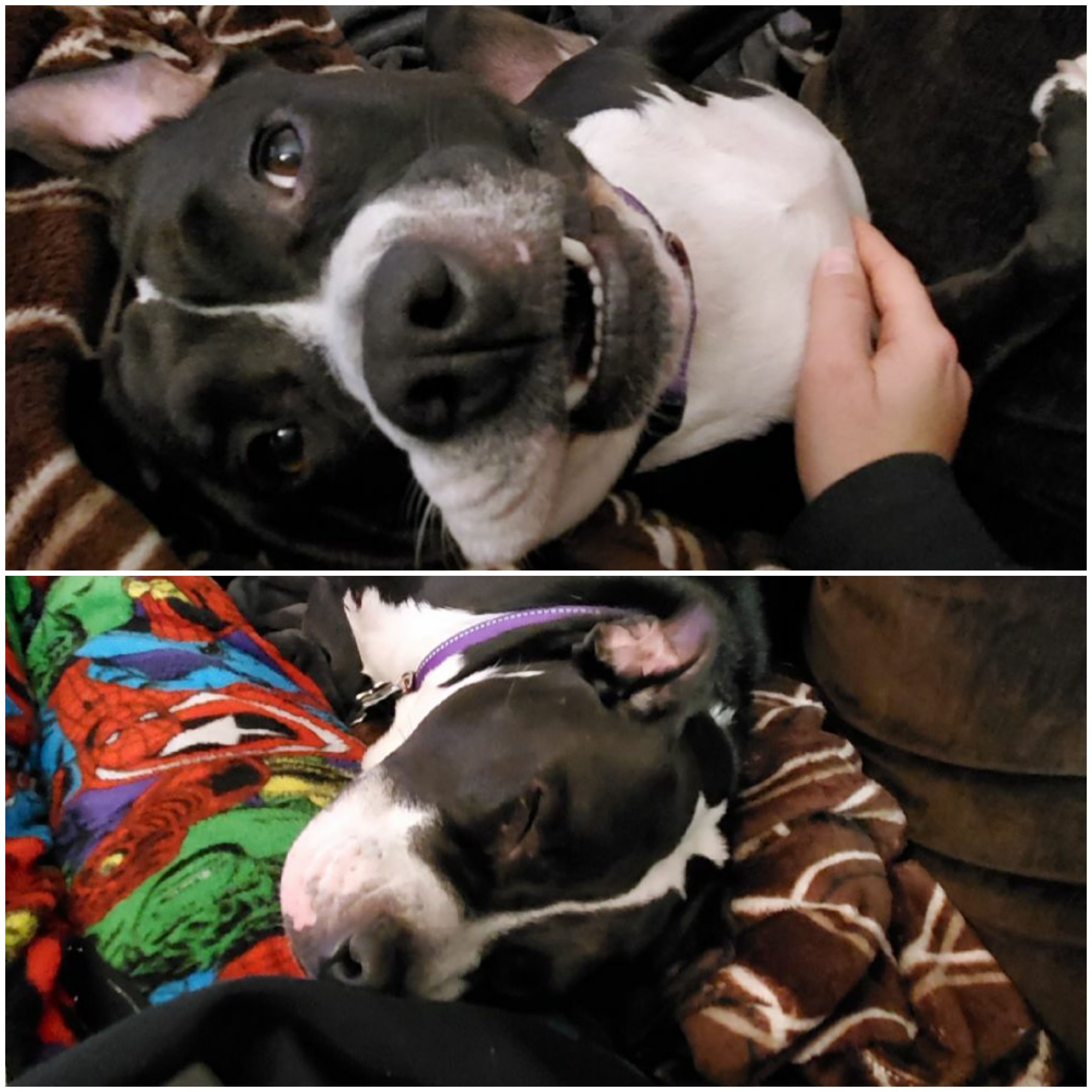 Friday night party animal | Scrolller